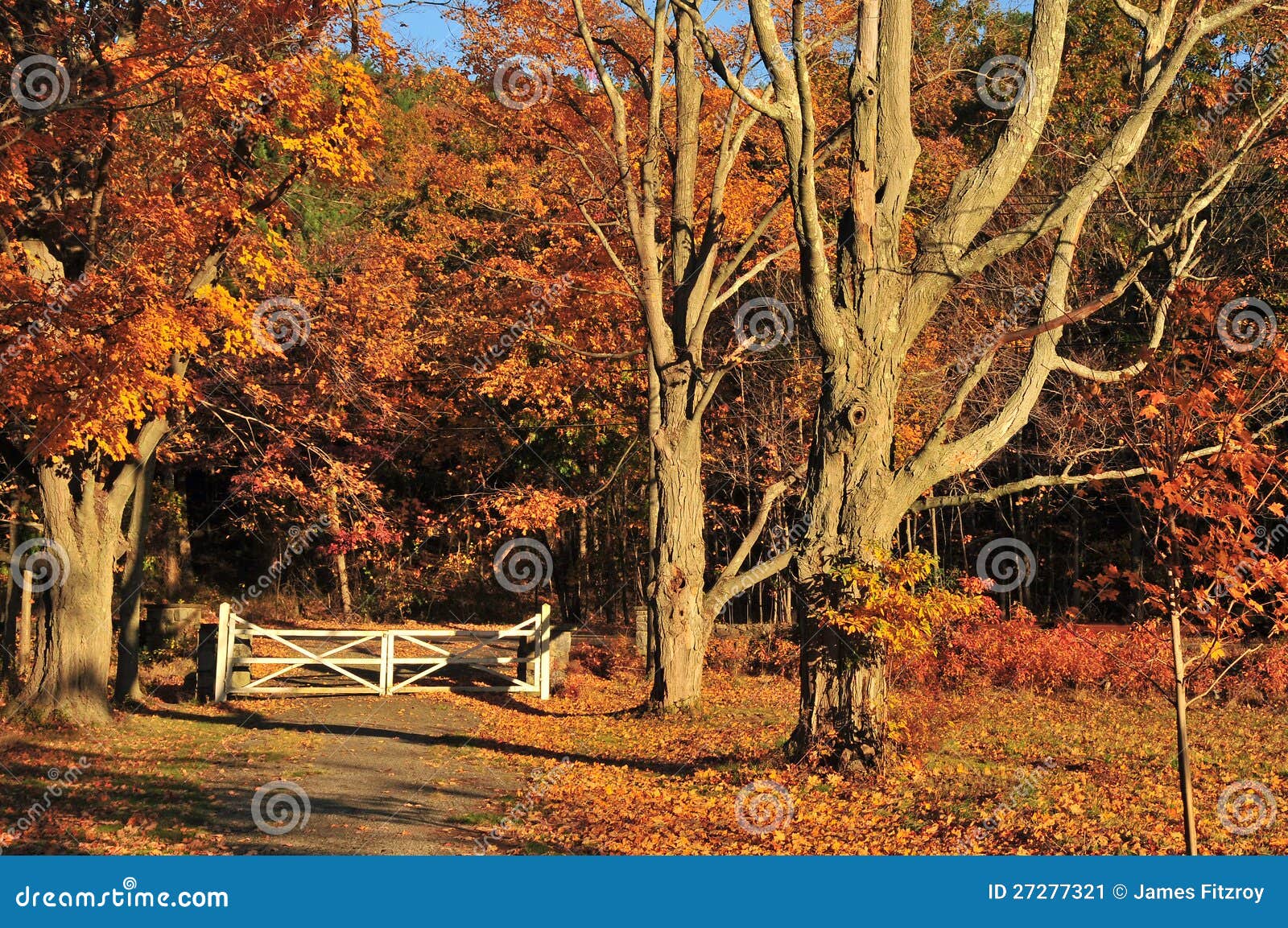 Autumn Gate Landscape stock image. Image of beauty, autumn - 27277321