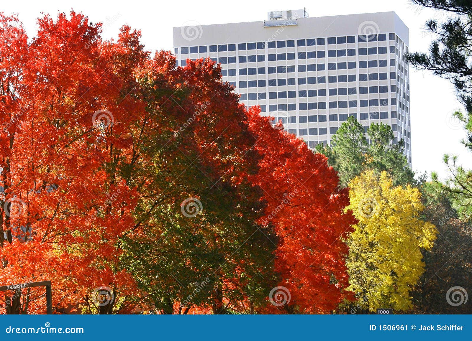 Autumn in Georgia stock image. Image of changing, color - 1506961