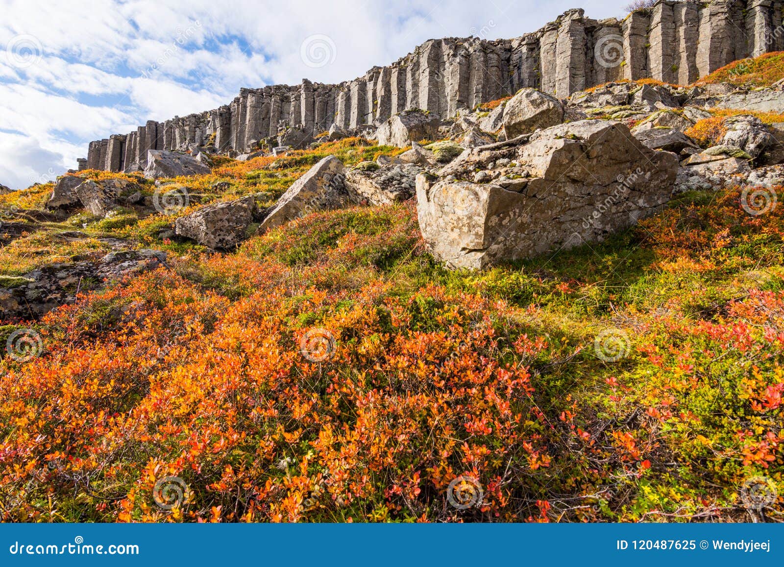 Gerduberg Cliffs on Iceland Stock Image - Image of natural, beautiful ...