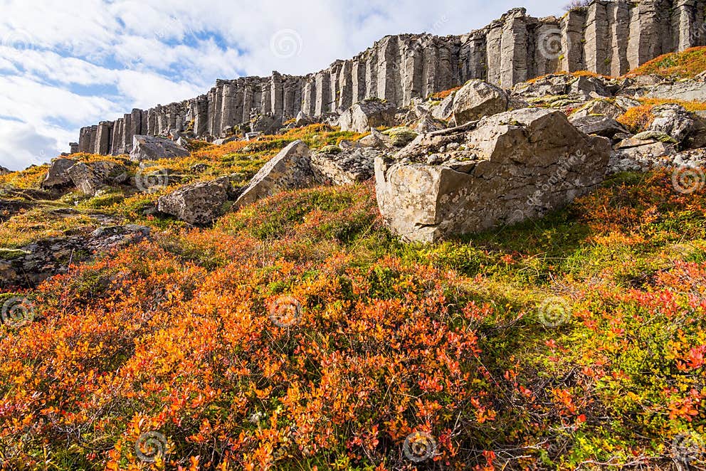 Gerduberg Cliffs on Iceland Stock Image - Image of natural, beautiful ...