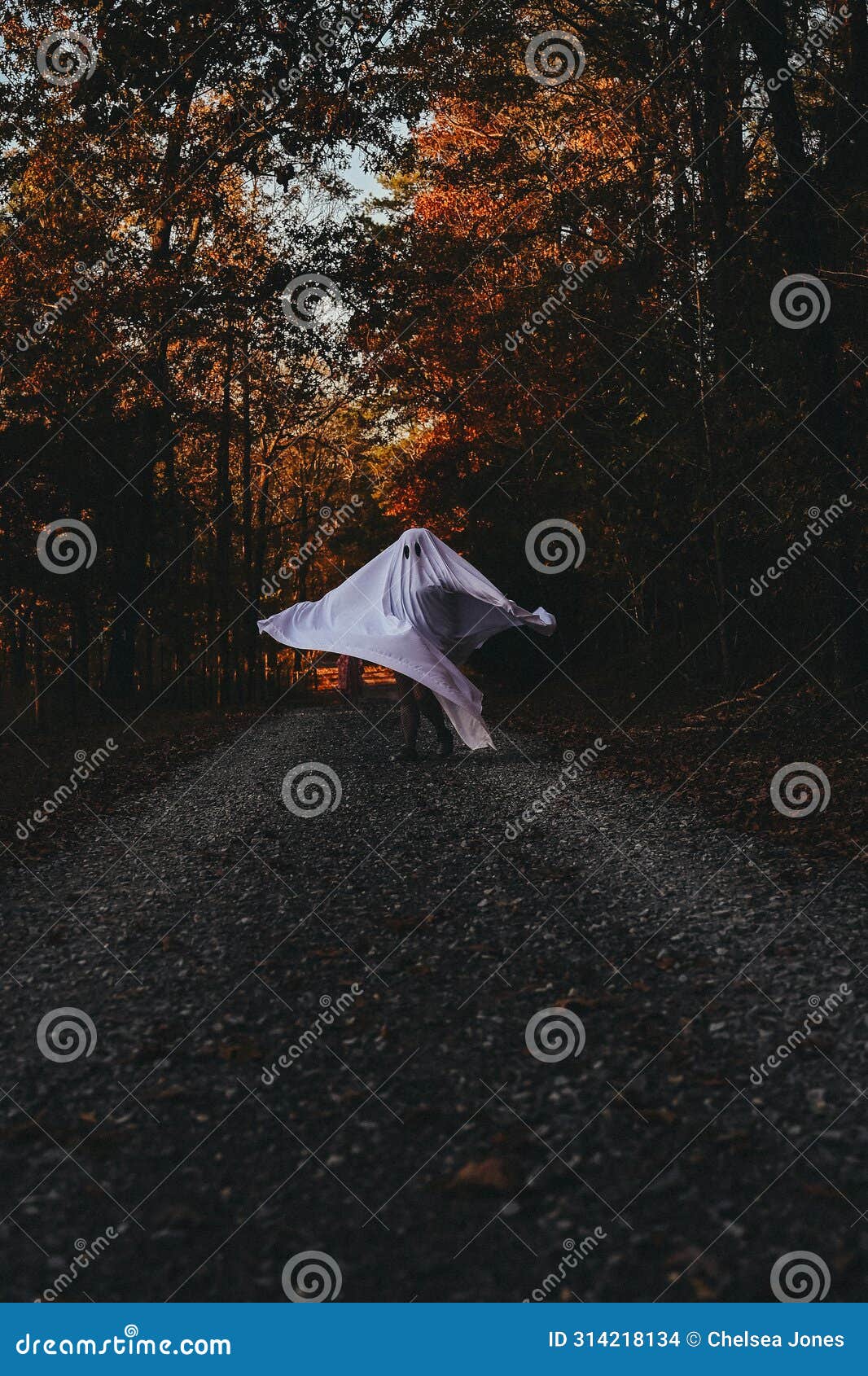 Autumn Ghost stock photo. Image of ghost, dance, gravel - 314218134