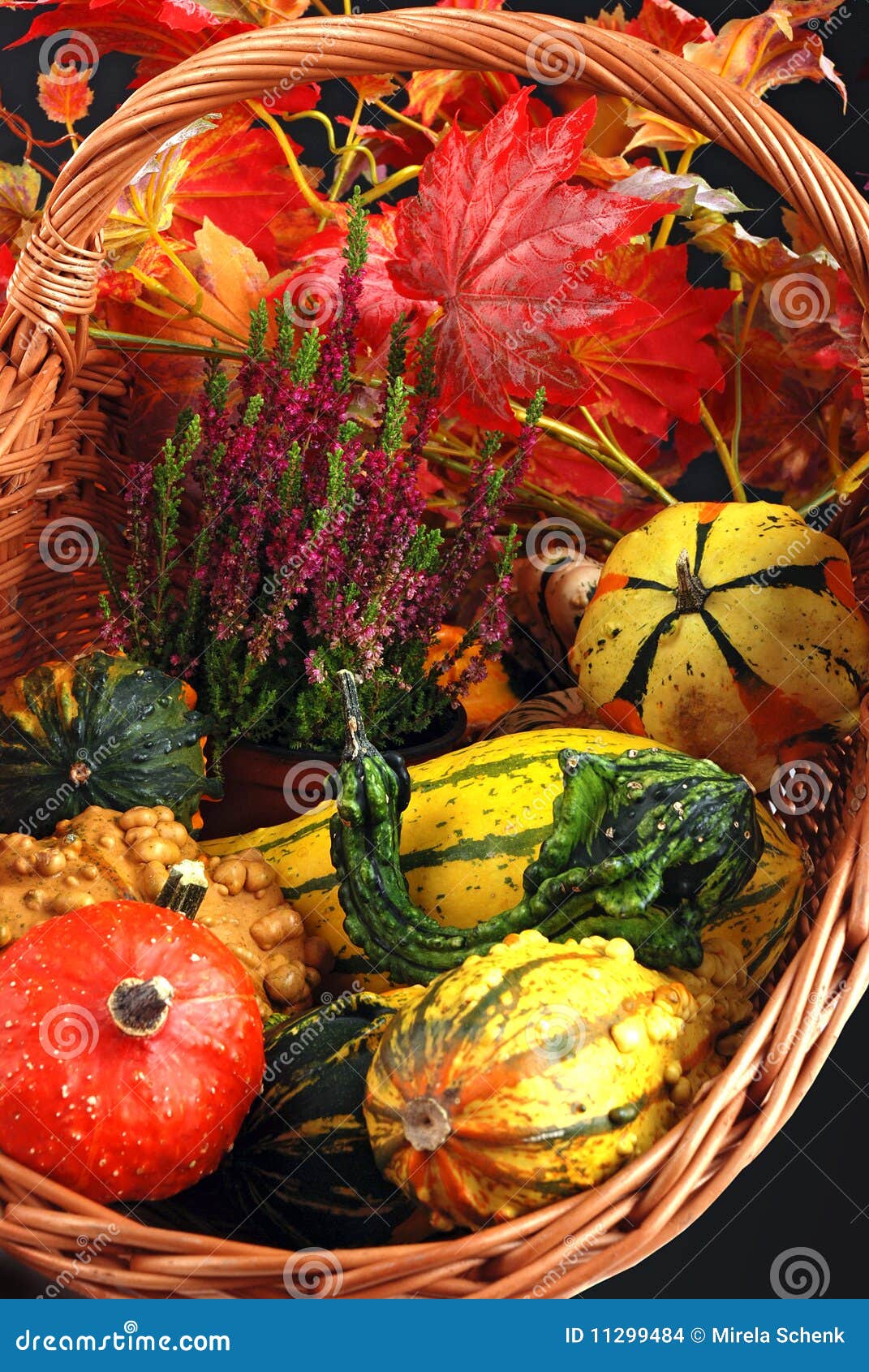 Autumn gifts. stock photo. Image of basket, season, collection - 11299484