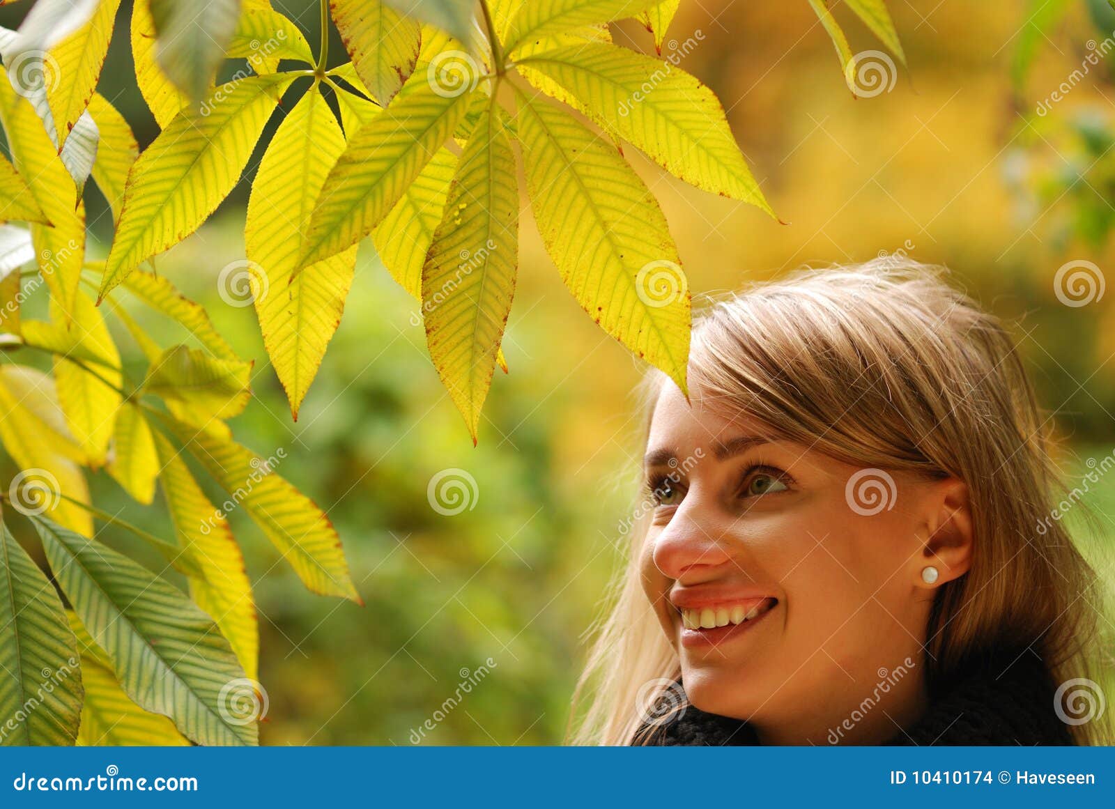 Autumn girl stock photo. Image of portrait, sunlight - 10410174