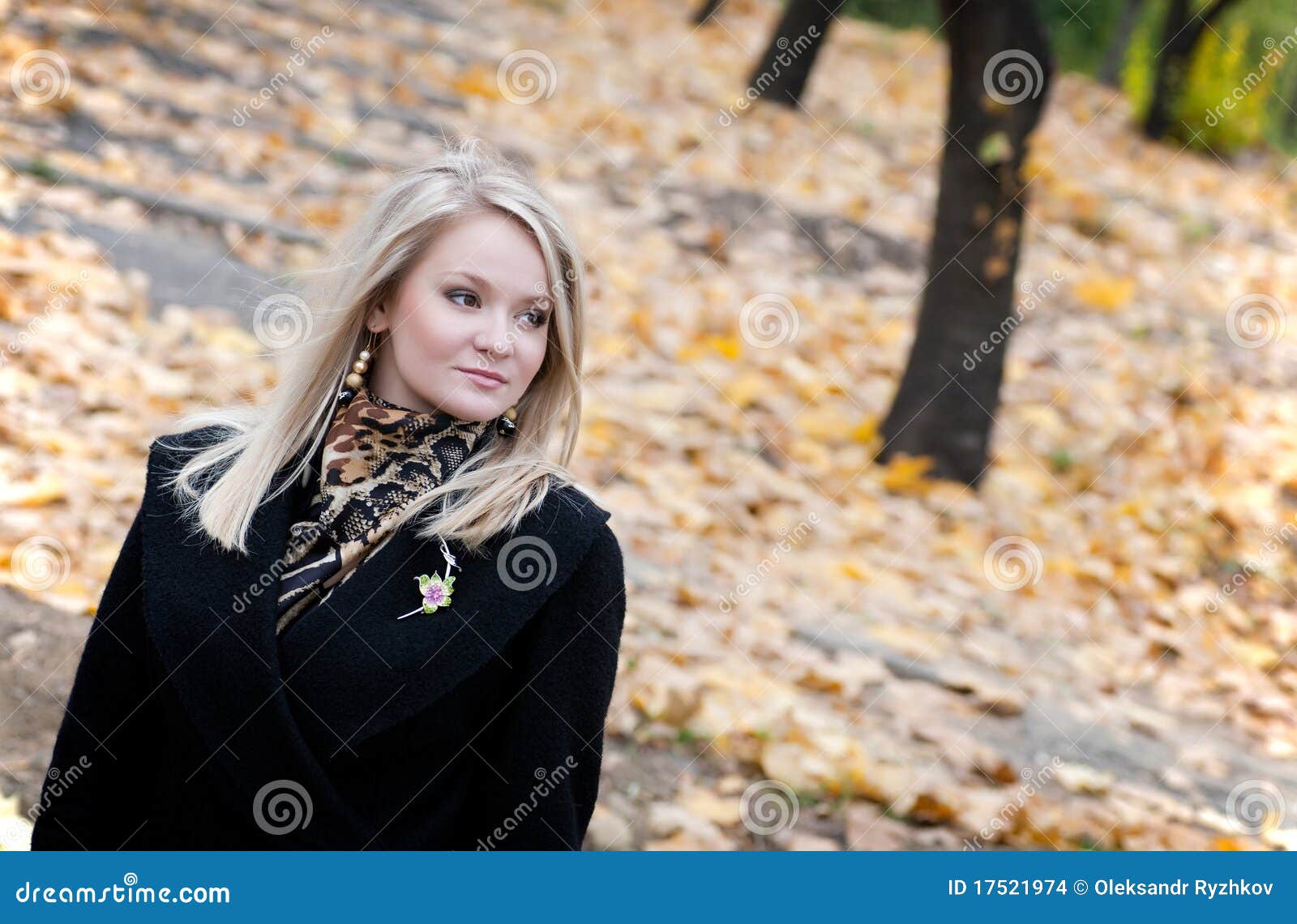 Autumn girl stock photo. Image of autumn, gorgeous, cheerful - 17521974