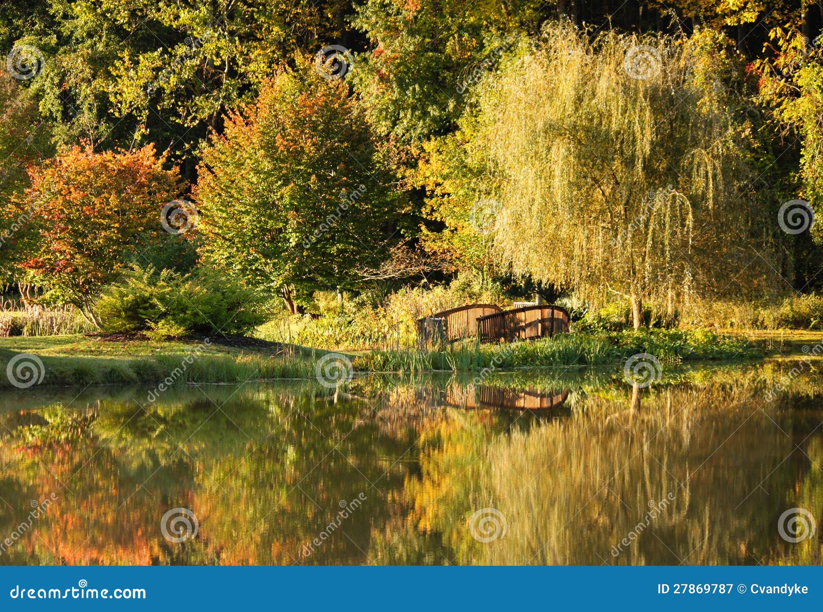 Autumn Gold Reflections Landscape Park Stock Image - Image of ...