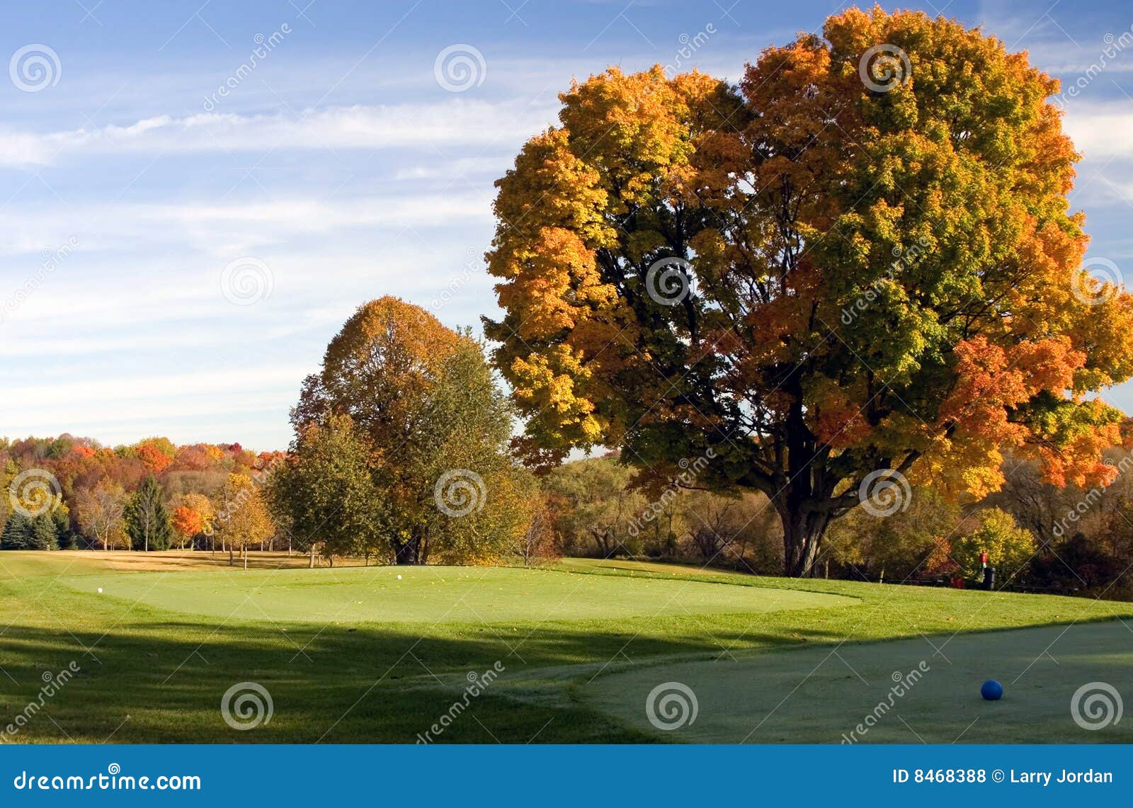 Autumn Golf stock photo. Image of nature, leaves, morning - 8468388