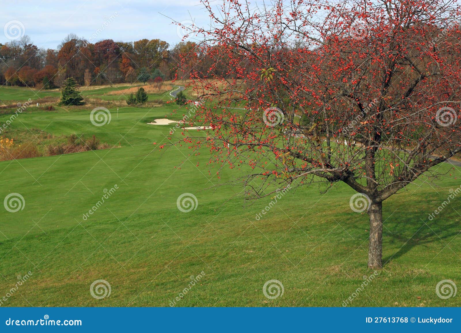 Autumn Golf Course stock photo. Image of beautiful, lawn - 27613768