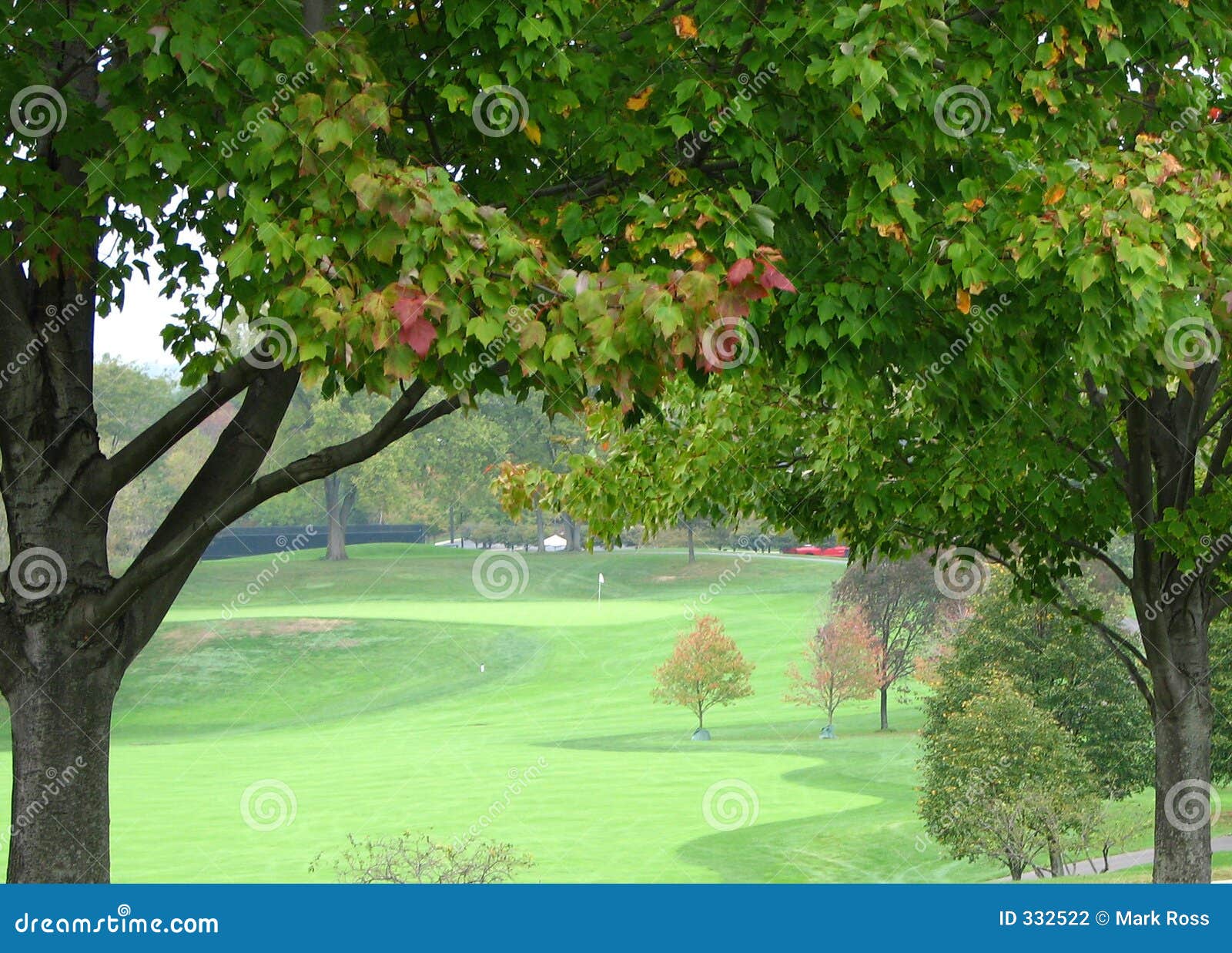 Autumn Golf Hole stock photo. Image of colors, sports, fairway - 332522