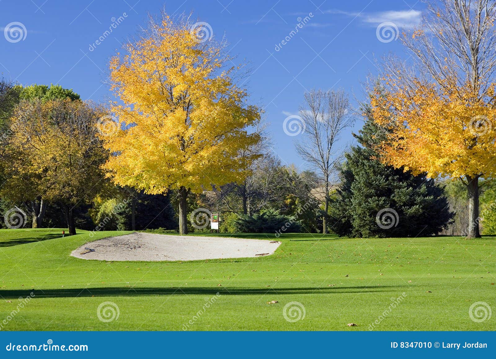 Autumn Golf Sand trap stock photo. Image of trees, fall - 8347010