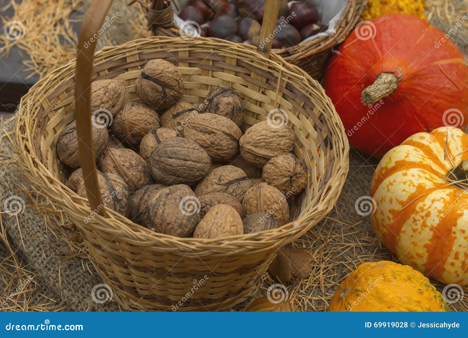 Autumn goods stock photo. Image of nature, fall, golden - 69919028