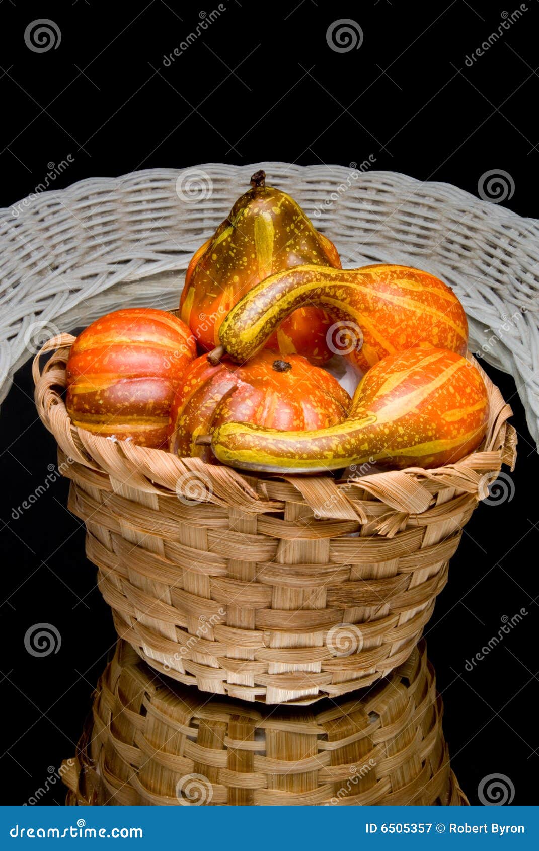 Autumn gourd centerpiece stock image. Image of gourd, color - 6505357