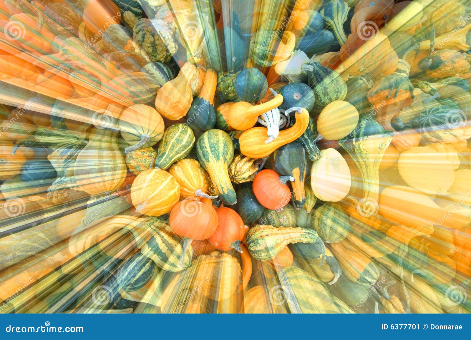 Autumn Gourd Variety Abstract Stock Image - Image of backgrounds, food ...