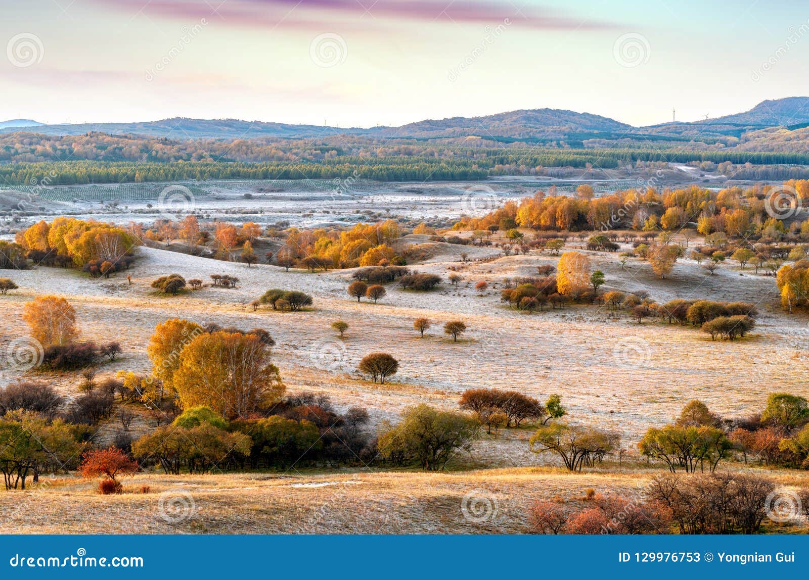 Autumn Grasslands of Inner Mongolia Stock Image - Image of lawn, white ...