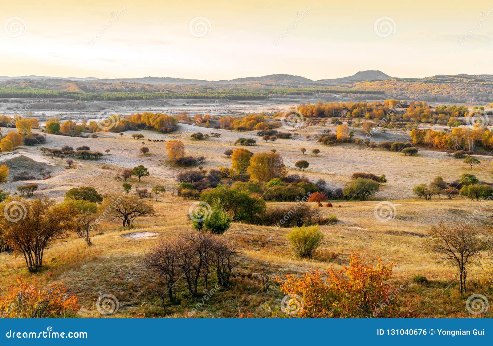 Autumn Grasslands of Inner Mongolia Stock Photo - Image of pasture ...