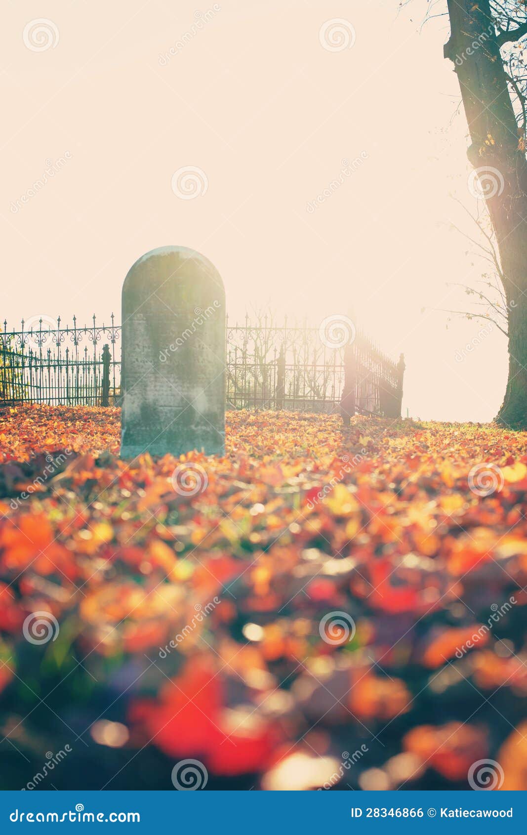 Autumn Graveyard stock photo. Image of autumn, spooky - 28346866