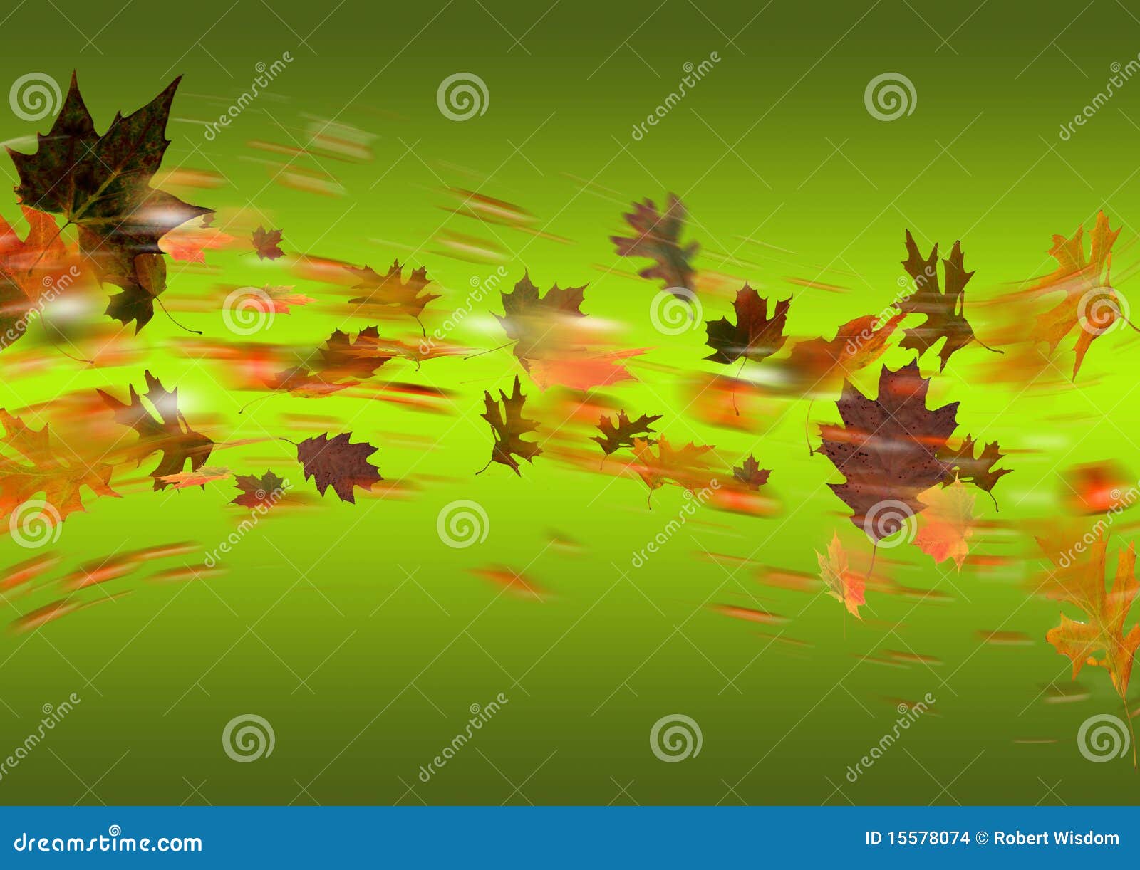 Autumn Green stock illustration. Illustration of green - 15578074