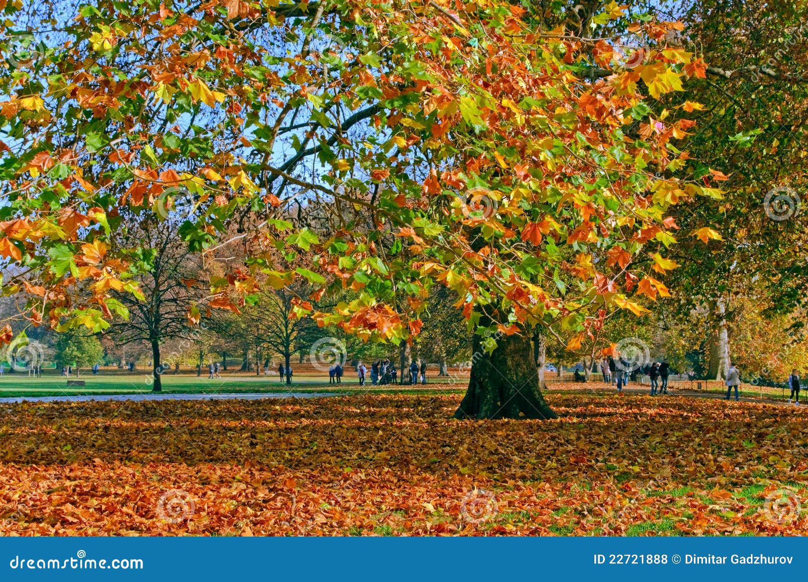 Autumn in Green Park, London Stock Photo - Image of park, environment ...