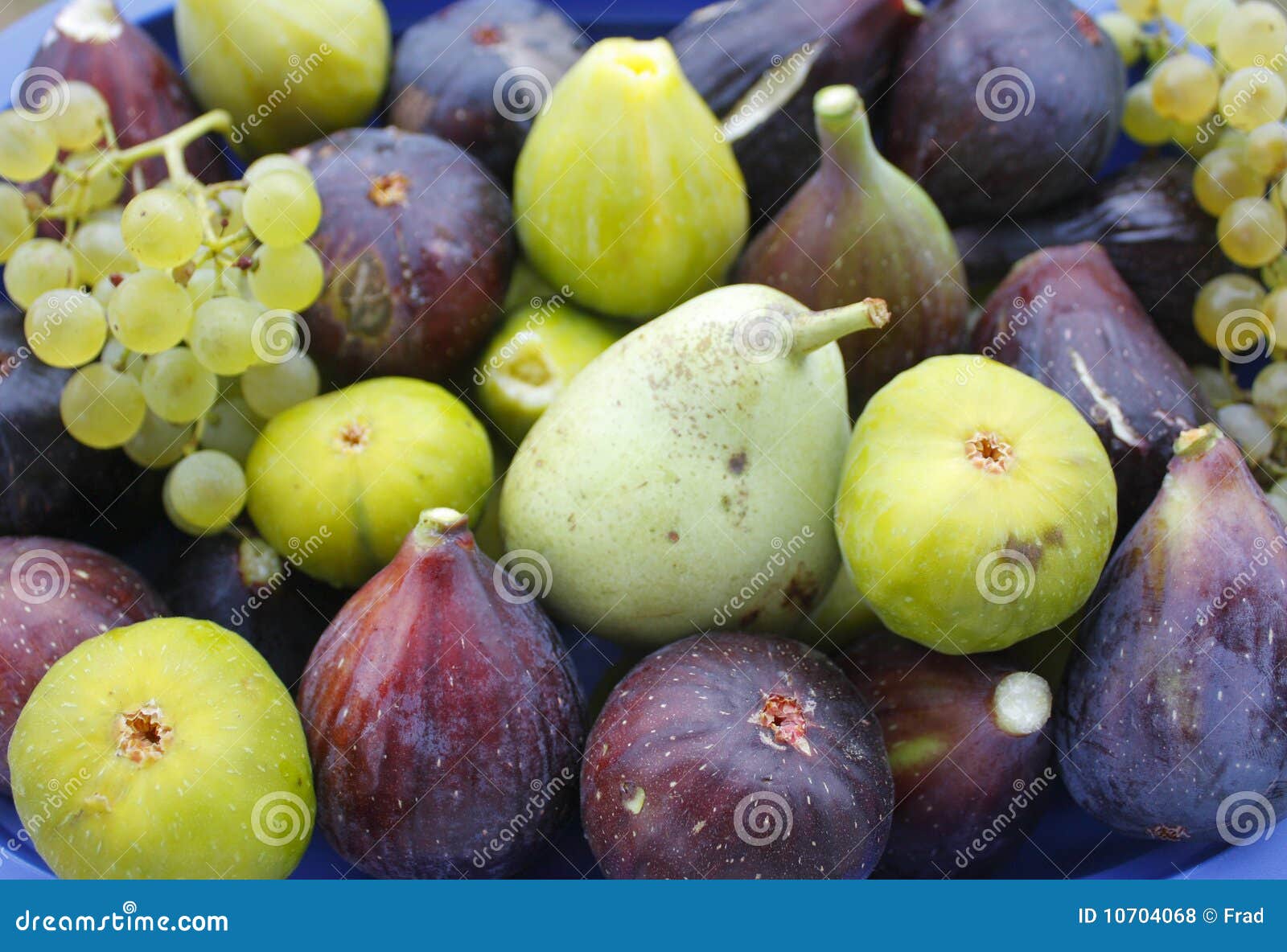 Autumn harvest stock photo. Image of pear, sweet, fruit - 10704068
