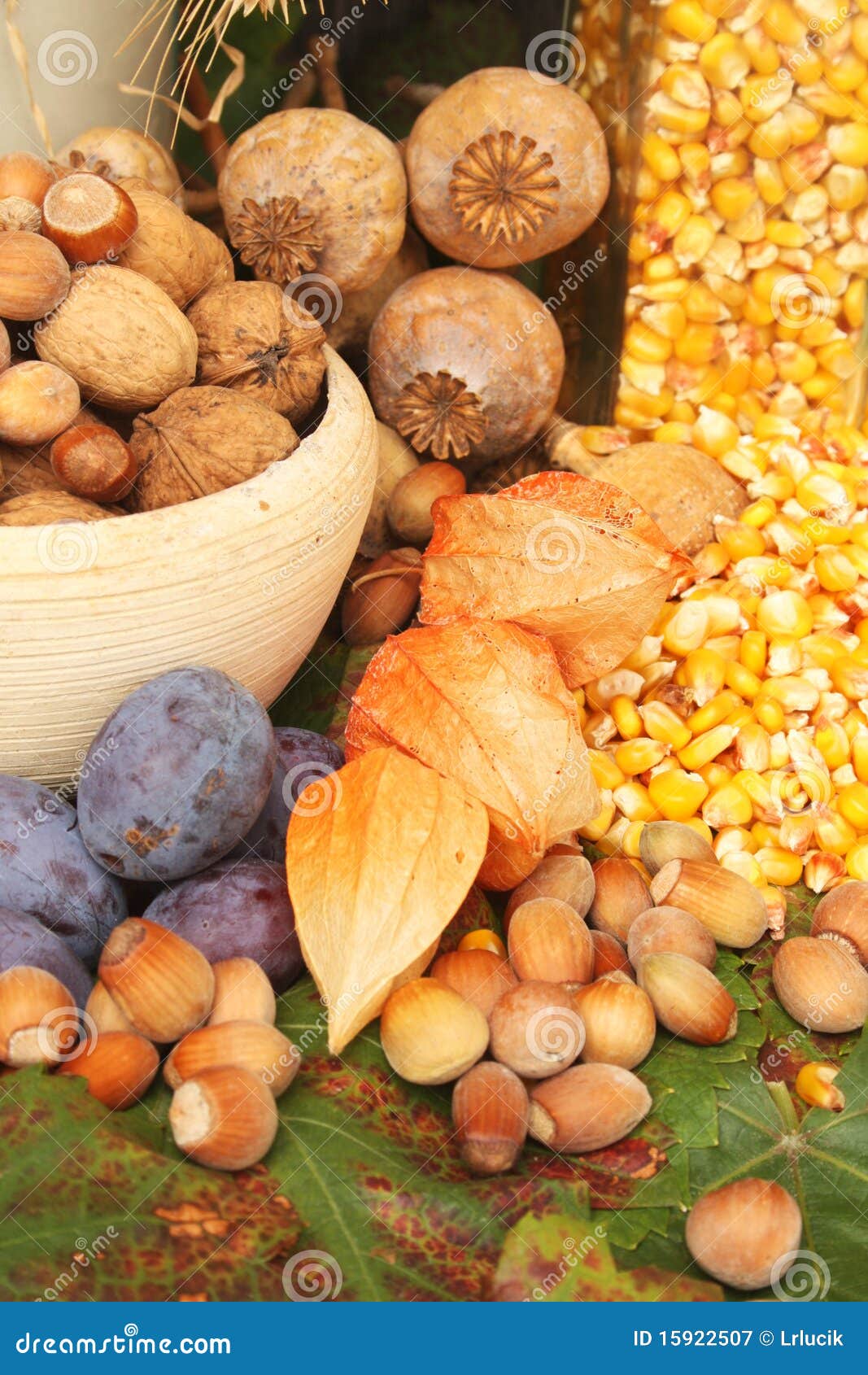 Autumn harvest stock image. Image of autumn, product - 15922507