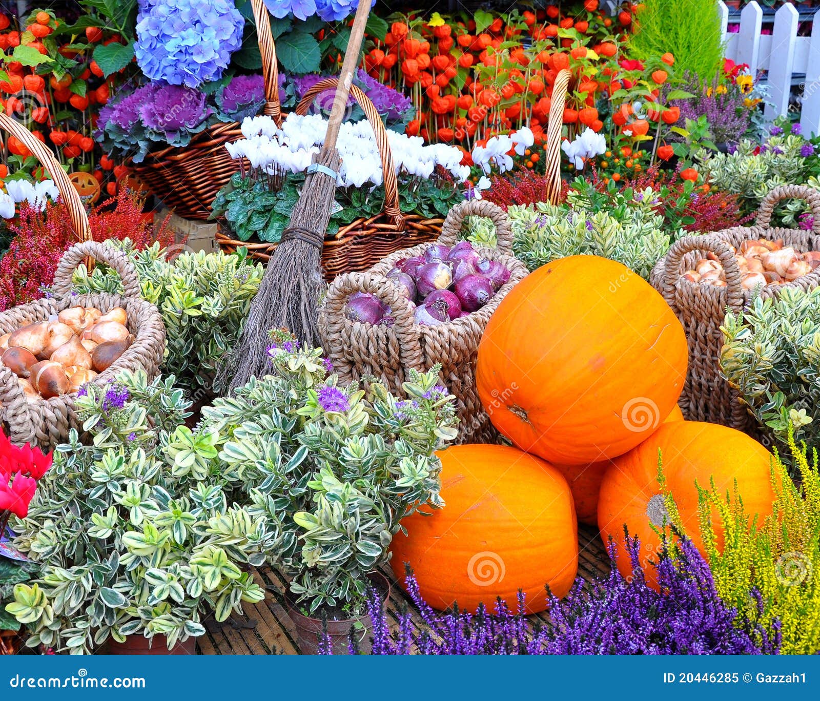 Autumn Harvest stock image. Image of display, harvest - 20446285