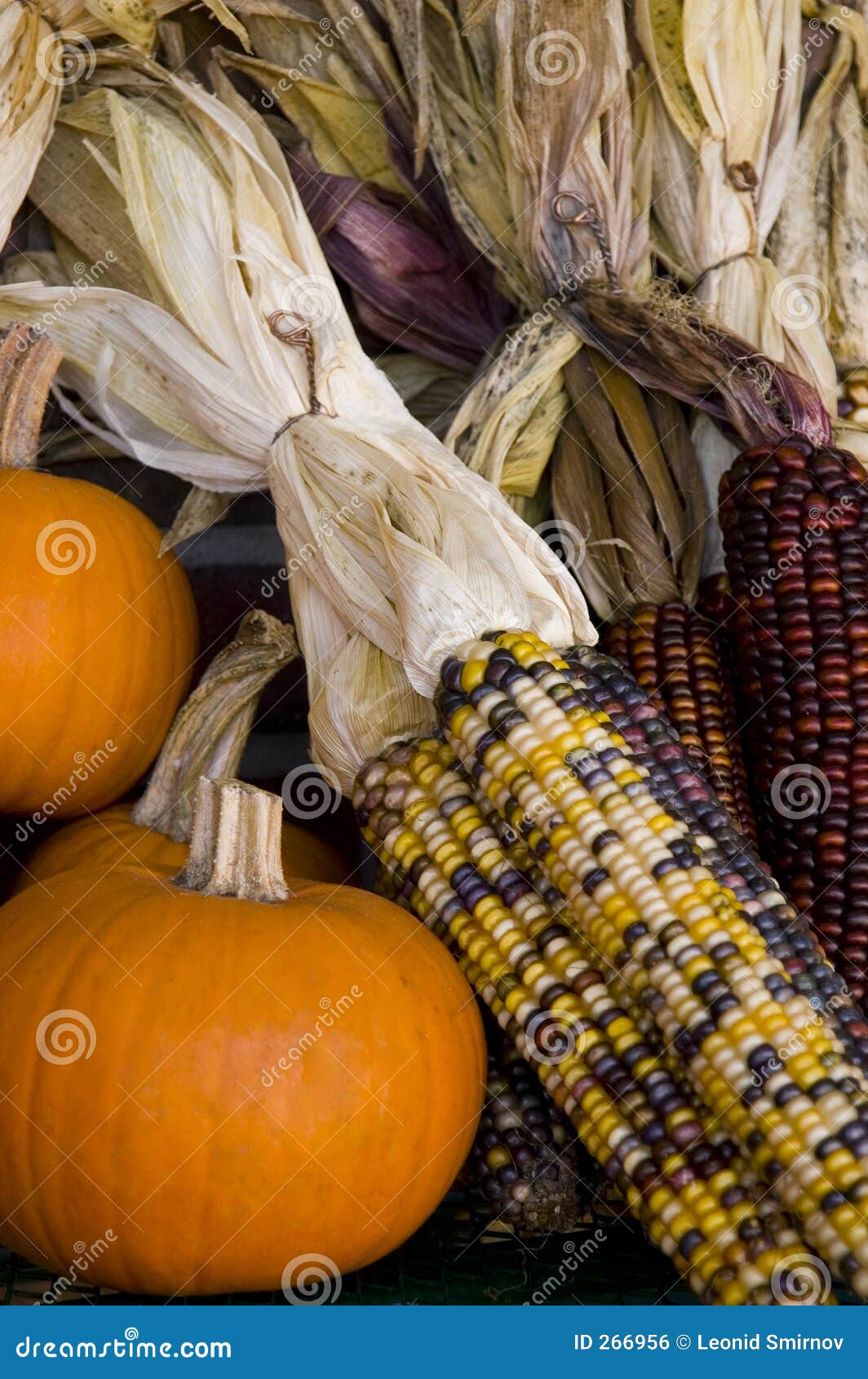 Autumn Harvest stock photo. Image of harvest, farm, array - 266956