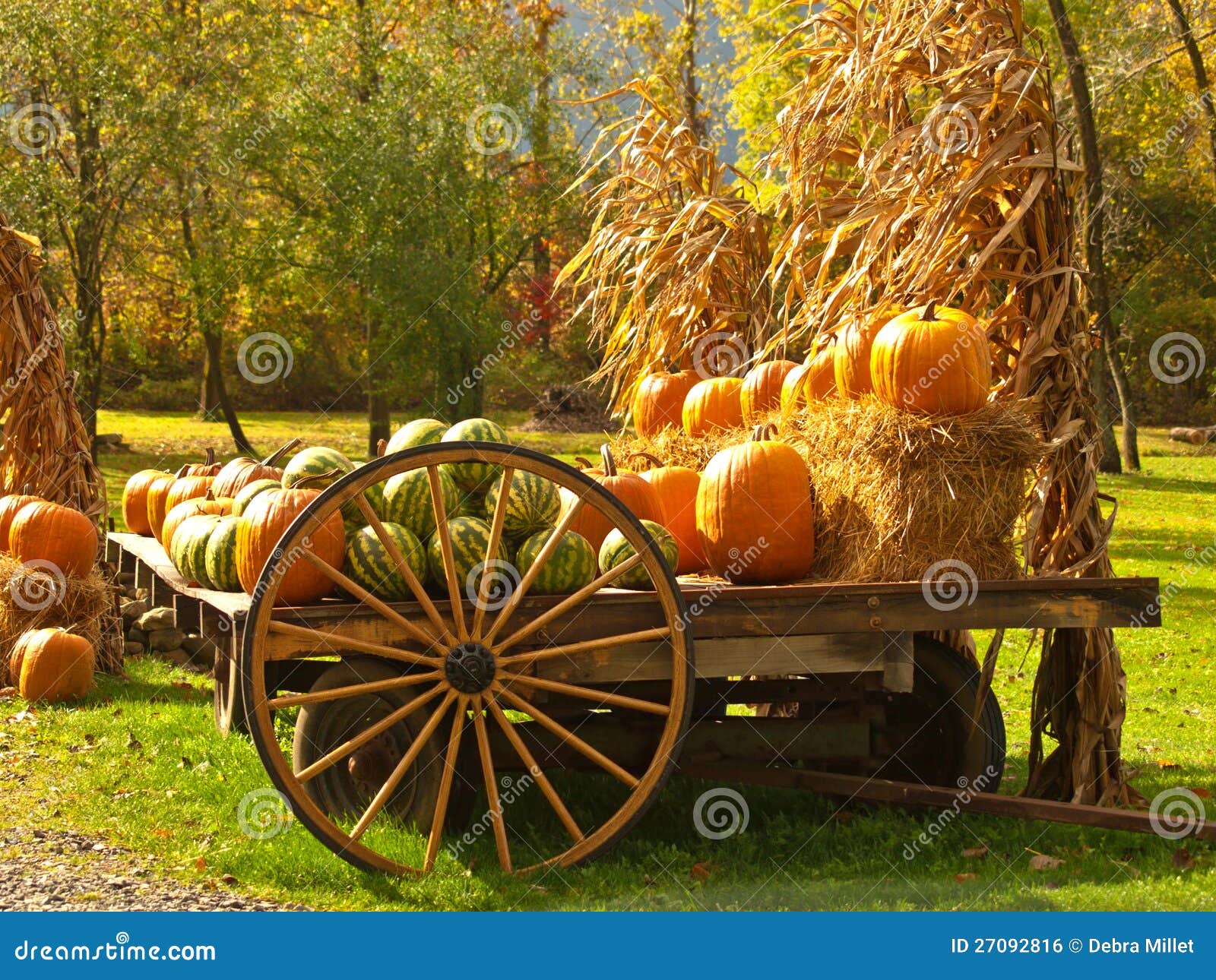 Autumn harvest stock photo. Image of fall, pumpkins, cart - 27092816