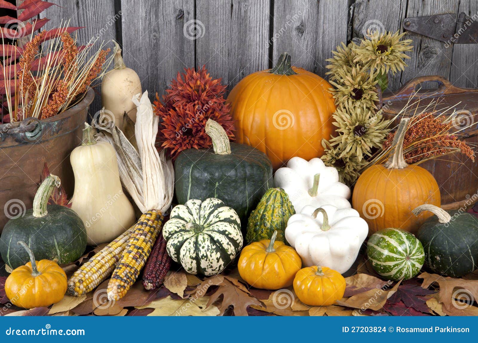 Autumn Harvest stock photo. Image of variety, november - 27203824