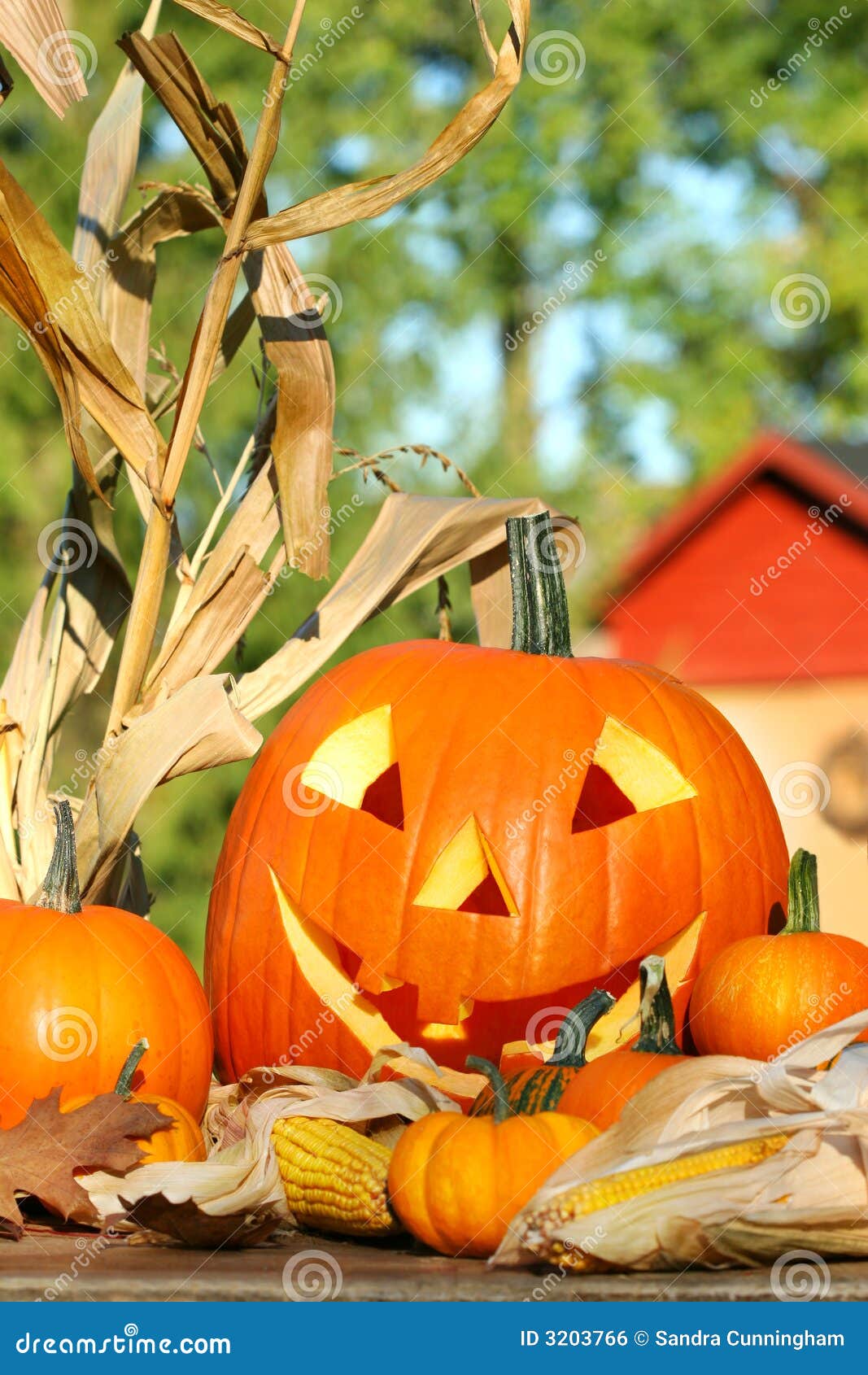 Autumn Harvest In The Village Basket Stock Photo | CartoonDealer.com ...