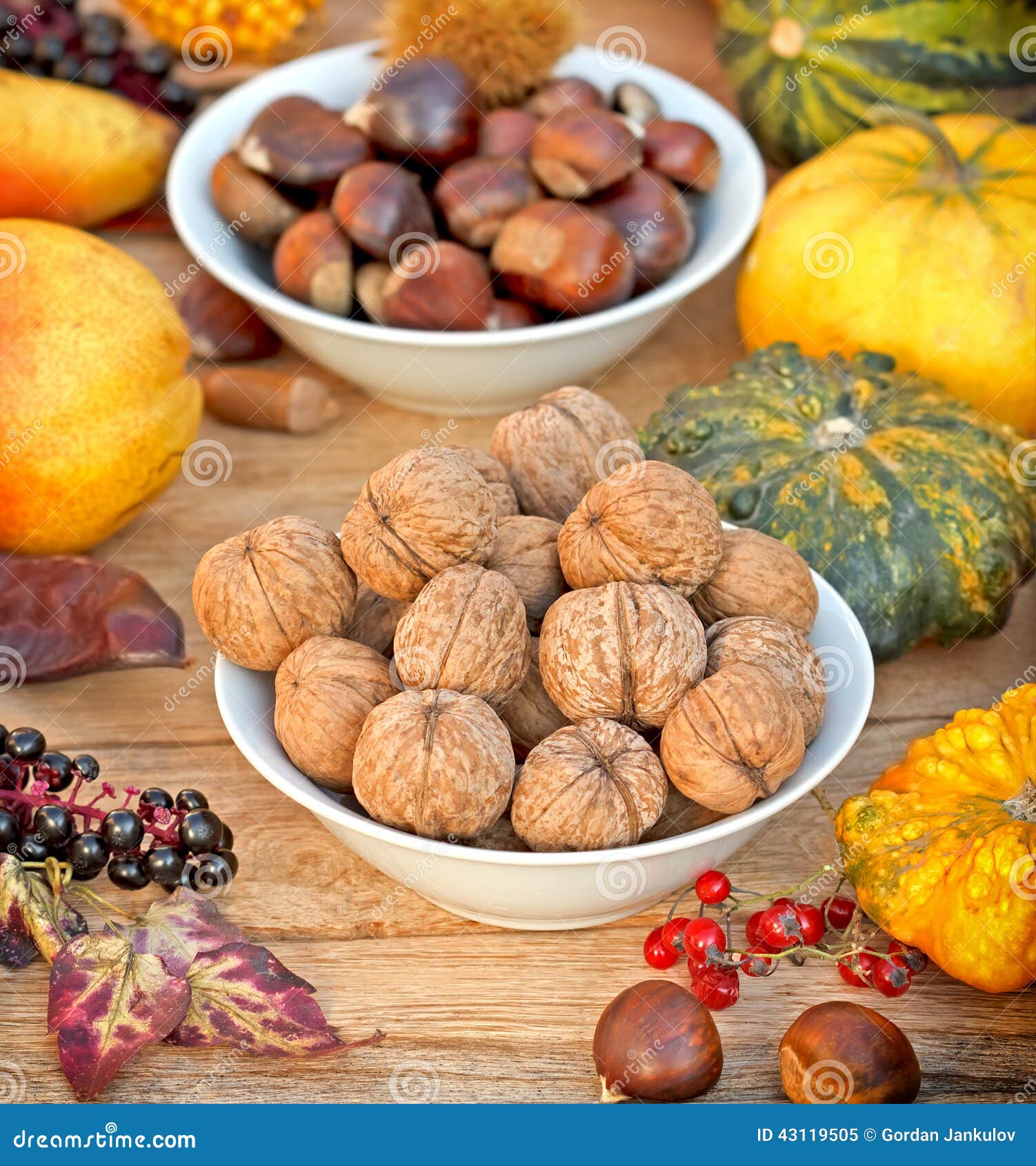 Autumn Harvest - Autumn Fruitage Stock Image - Image of agriculture ...