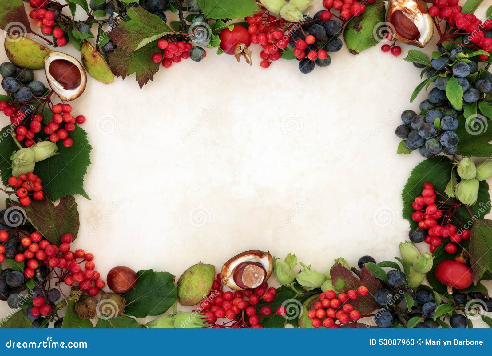 Autumn Harvest Border stock image. Image of hazelnut - 53007963