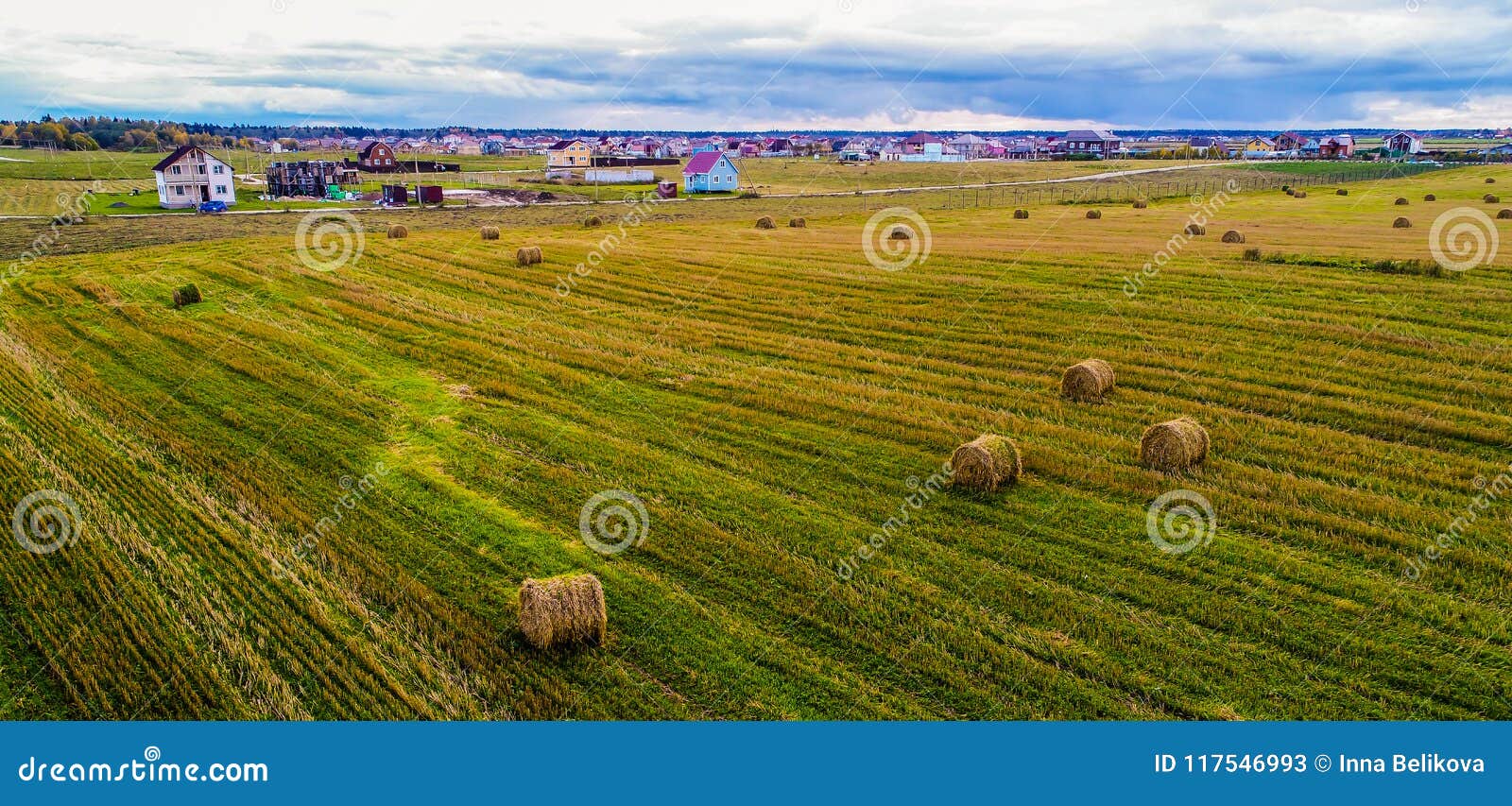 Autumn Harvest Hay in Rolls Stock Image - Image of tree, blue: 117546993