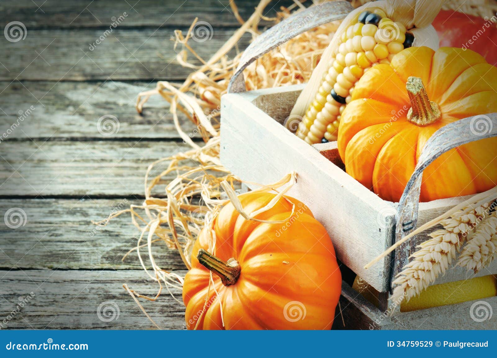 Autumn Harvest Setting with Pumpkins Stock Image - Image of color ...
