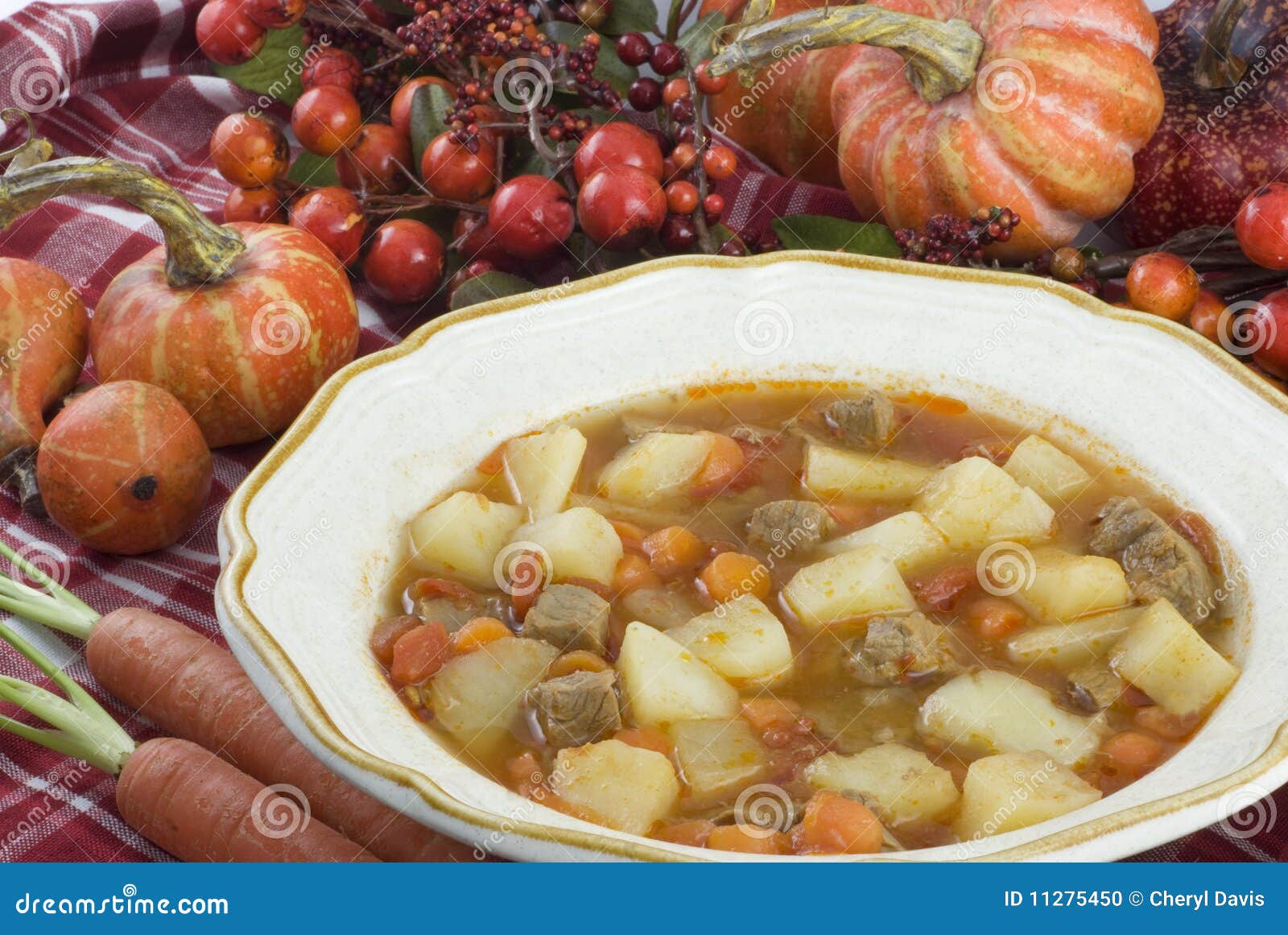 Autumn Harvest Stew stock photo. Image of beef, meat - 11275450
