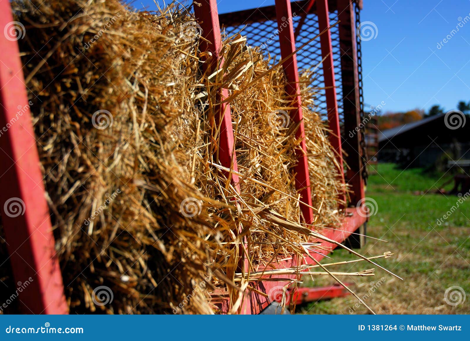 Autumn hay ride stock photo. Image of afternoon, autumn - 1381264