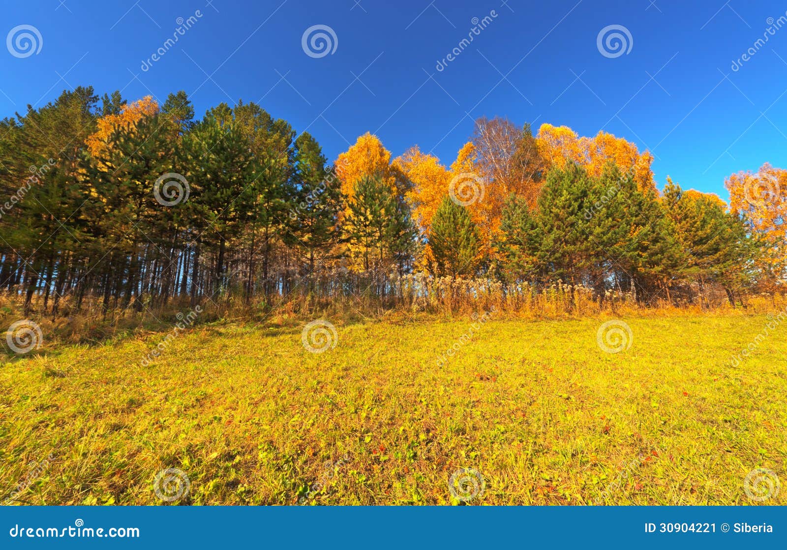 Autumn, HDRI stock image. Image of november, autumn, blue - 30904221