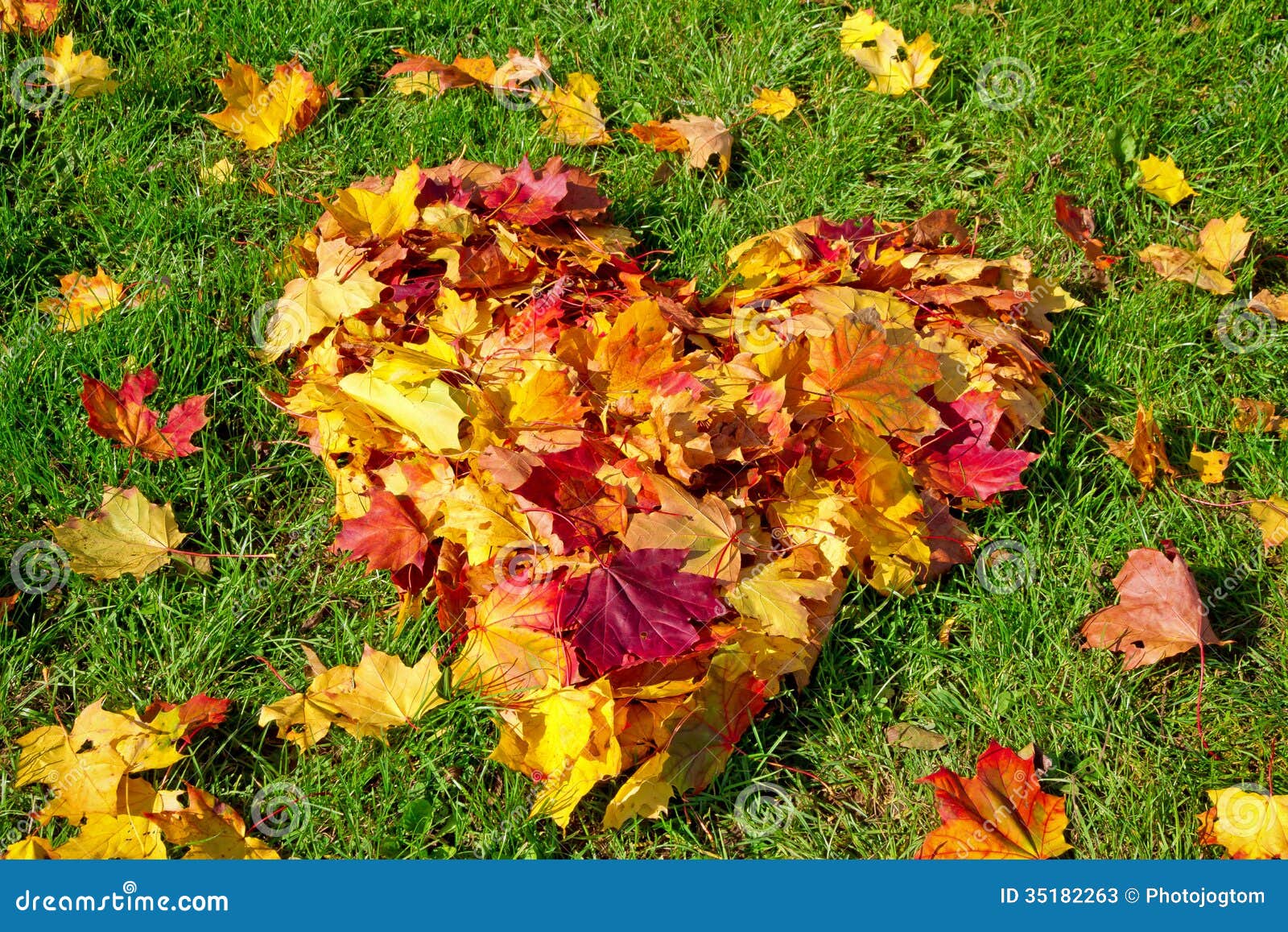 Autumn heart stock image. Image of horizontal, love, forest - 35182263