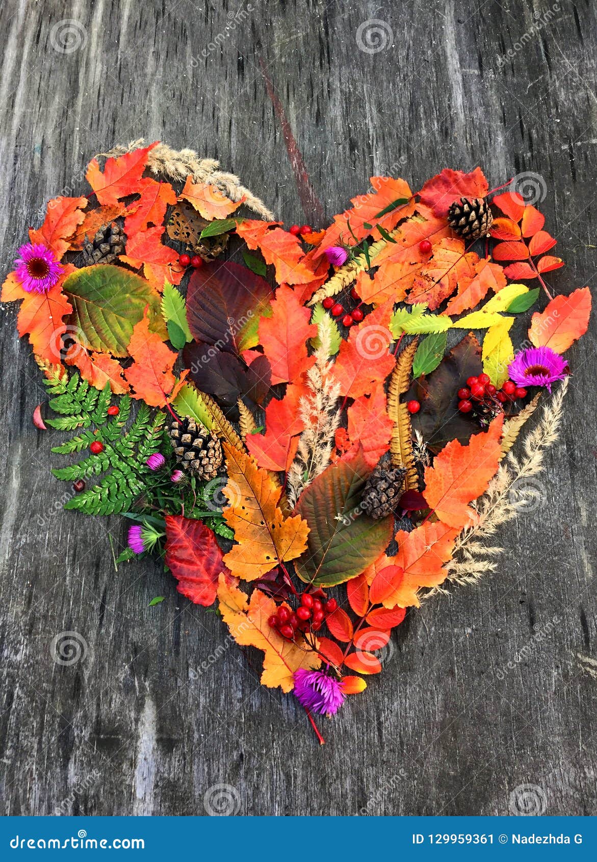 Autumn Heart from Forest Plants Stock Image - Image of green, flowers ...
