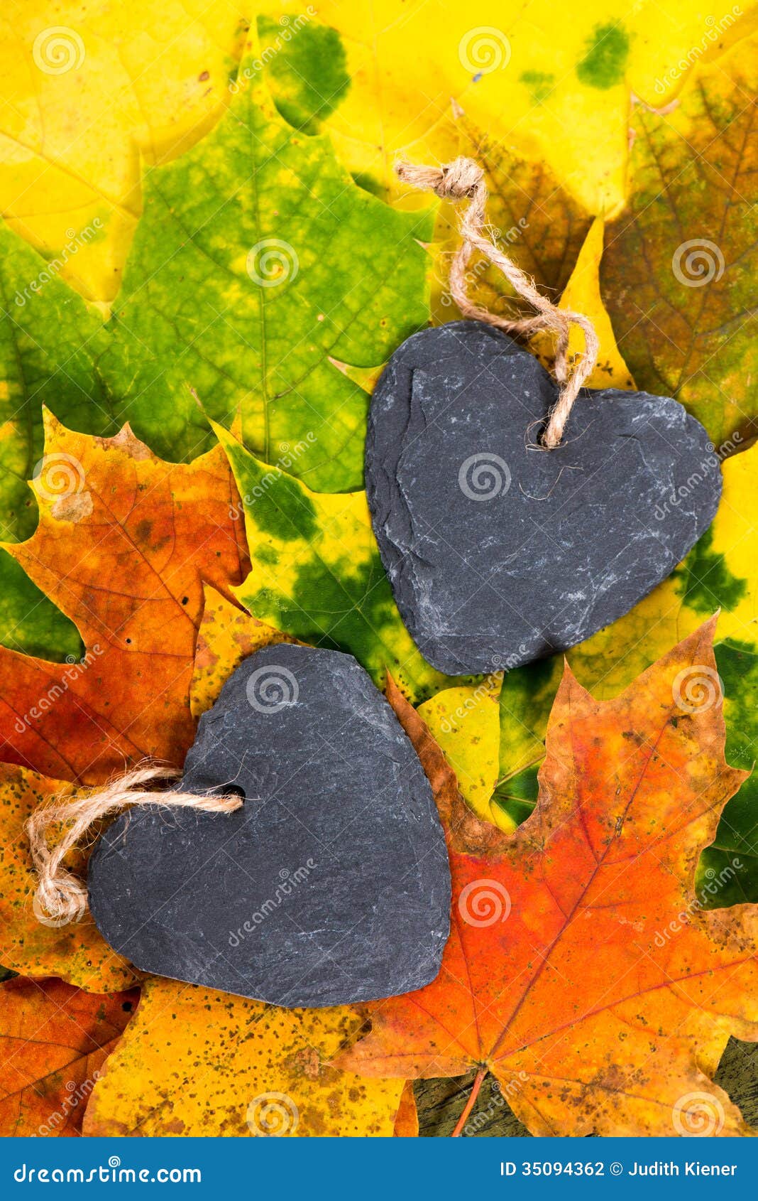 Autumn hearts stock photo. Image of still, slate, motif - 35094362