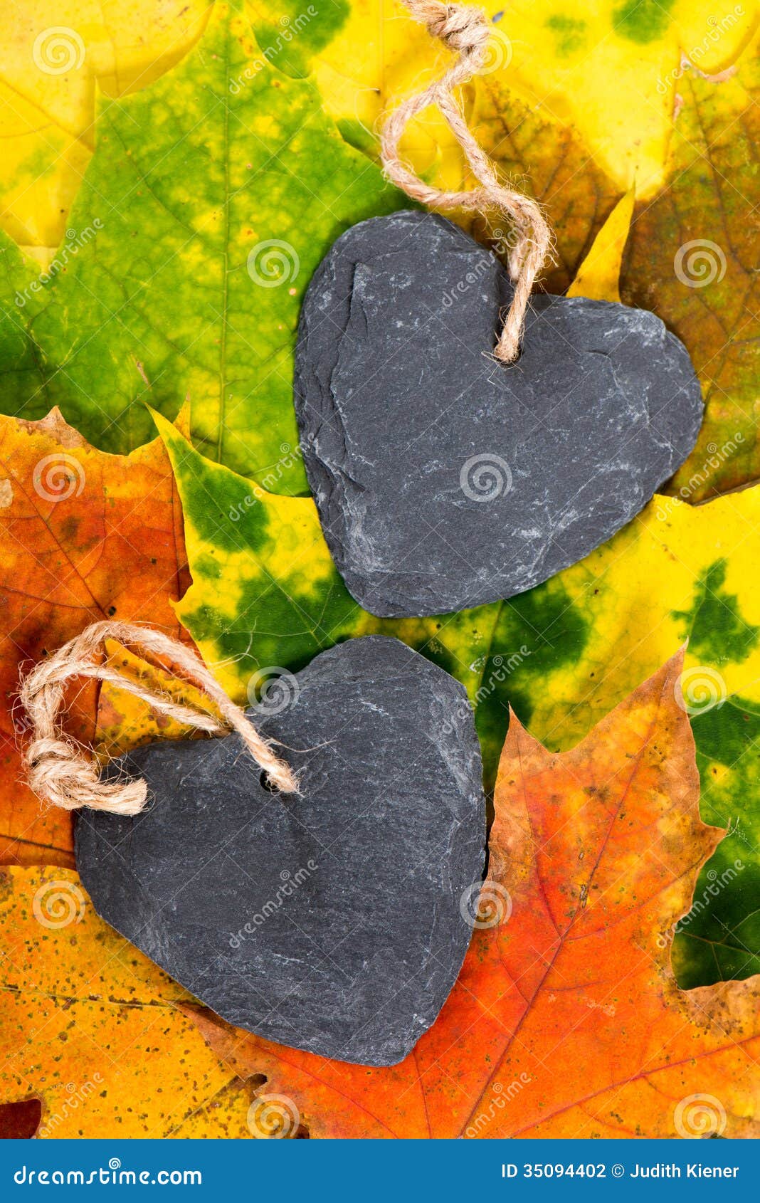 Autumn hearts stock photo. Image of life, still, slate - 35094402