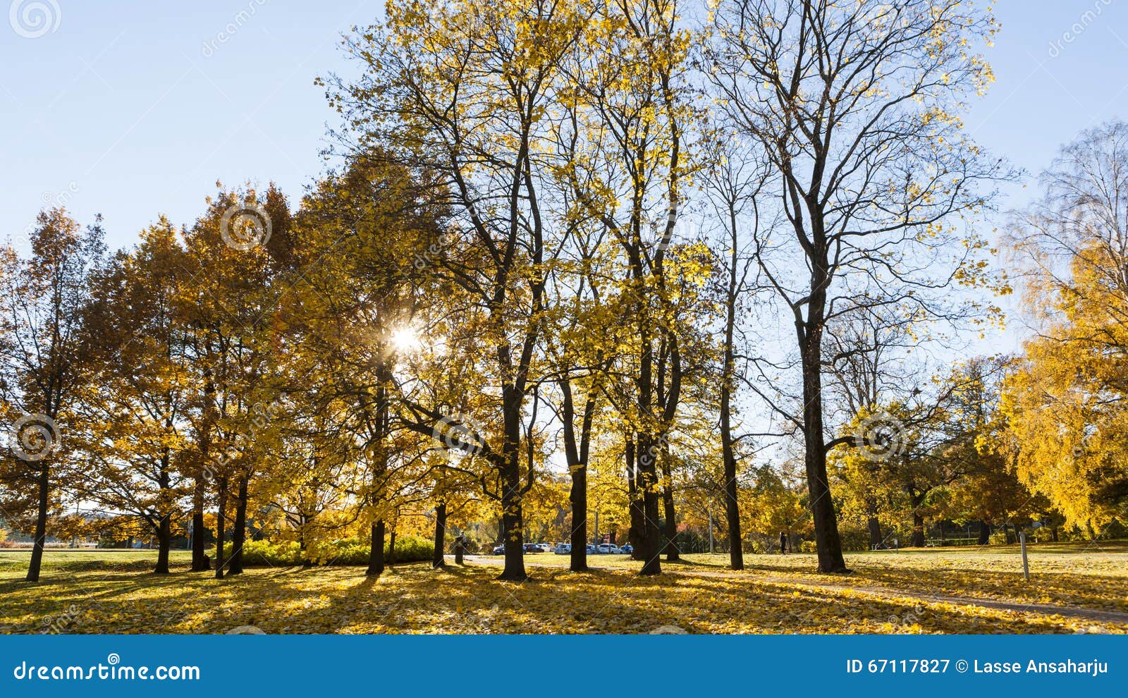 Autumn in Helsinki stock image. Image of park, nature - 67117827