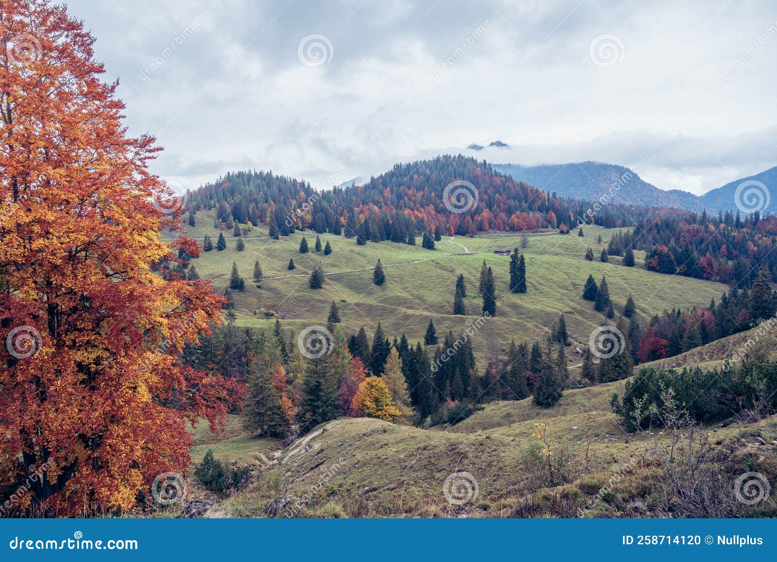 Autumn Hiking in Bavarian Alps Stock Photo - Image of foliage, fall ...