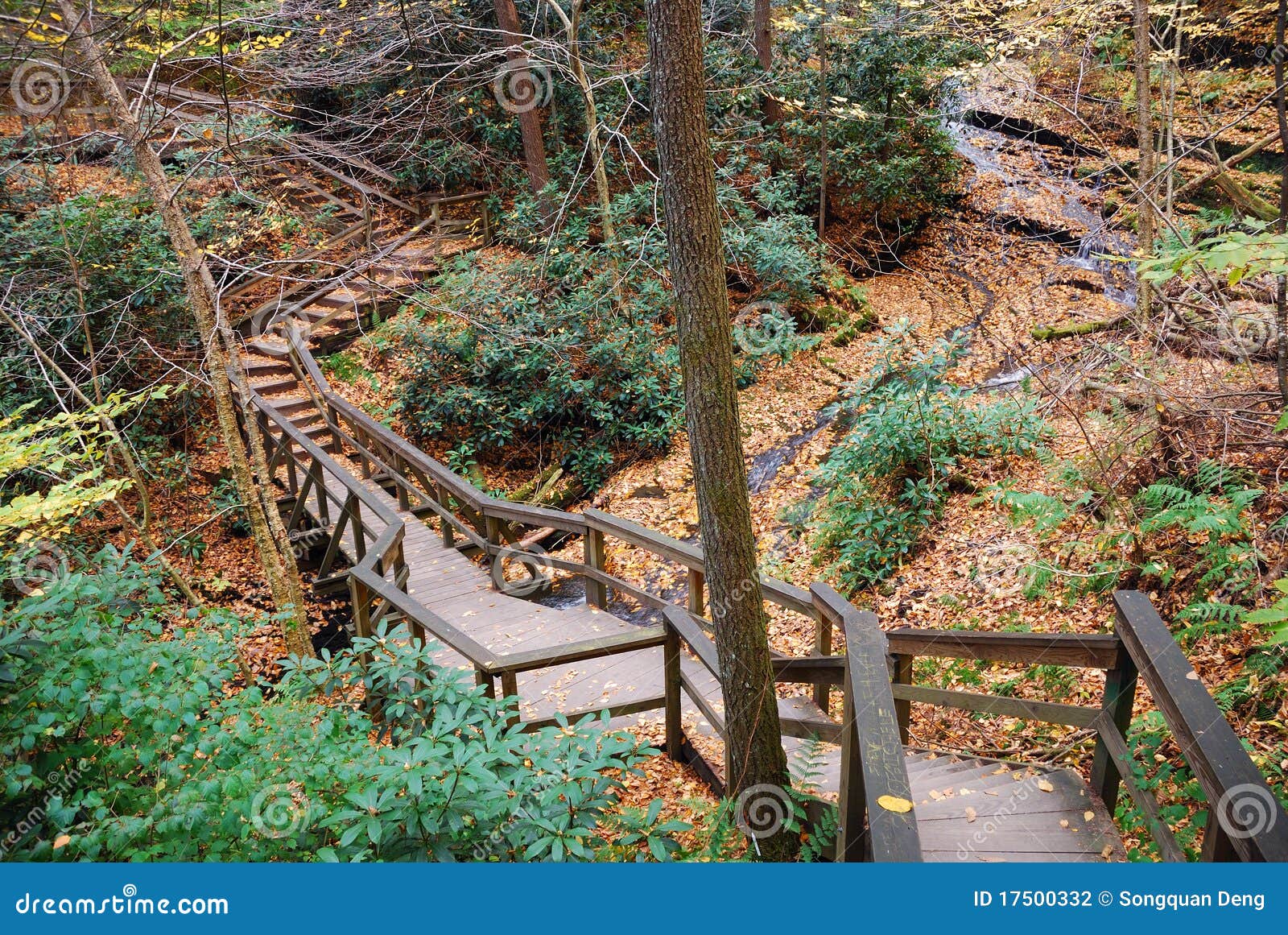 Autumn hiking trail stock photo. Image of peaceful, fall - 17500332