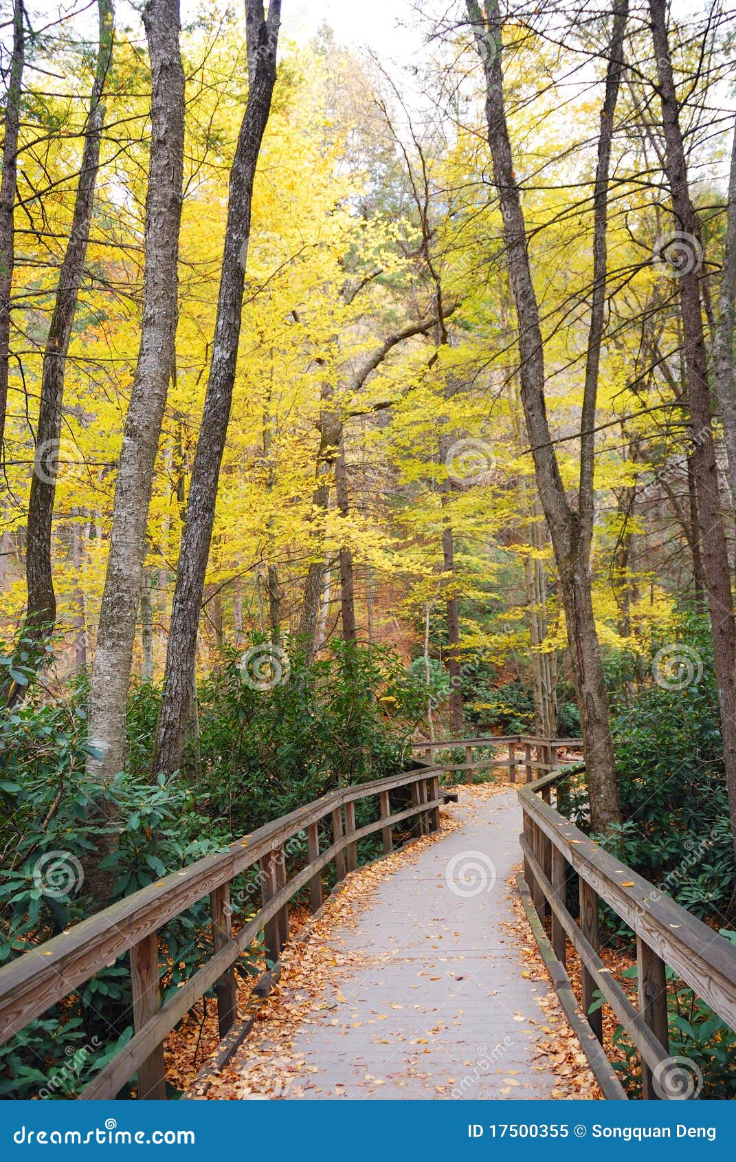 Autumn hiking trail stock image. Image of bushkill, fall - 17500355