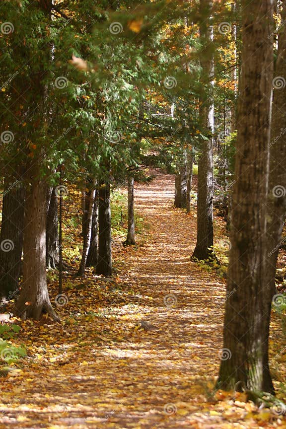 Autumn Hiking Trail stock photo. Image of tree, adventure - 6725384