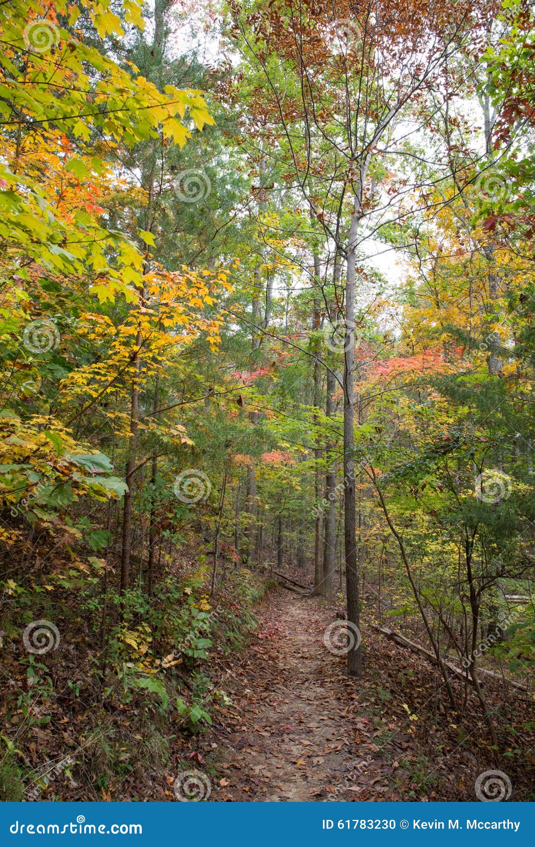 Autumn Hiking Trail stock photo. Image of outdoors, trail - 61783230