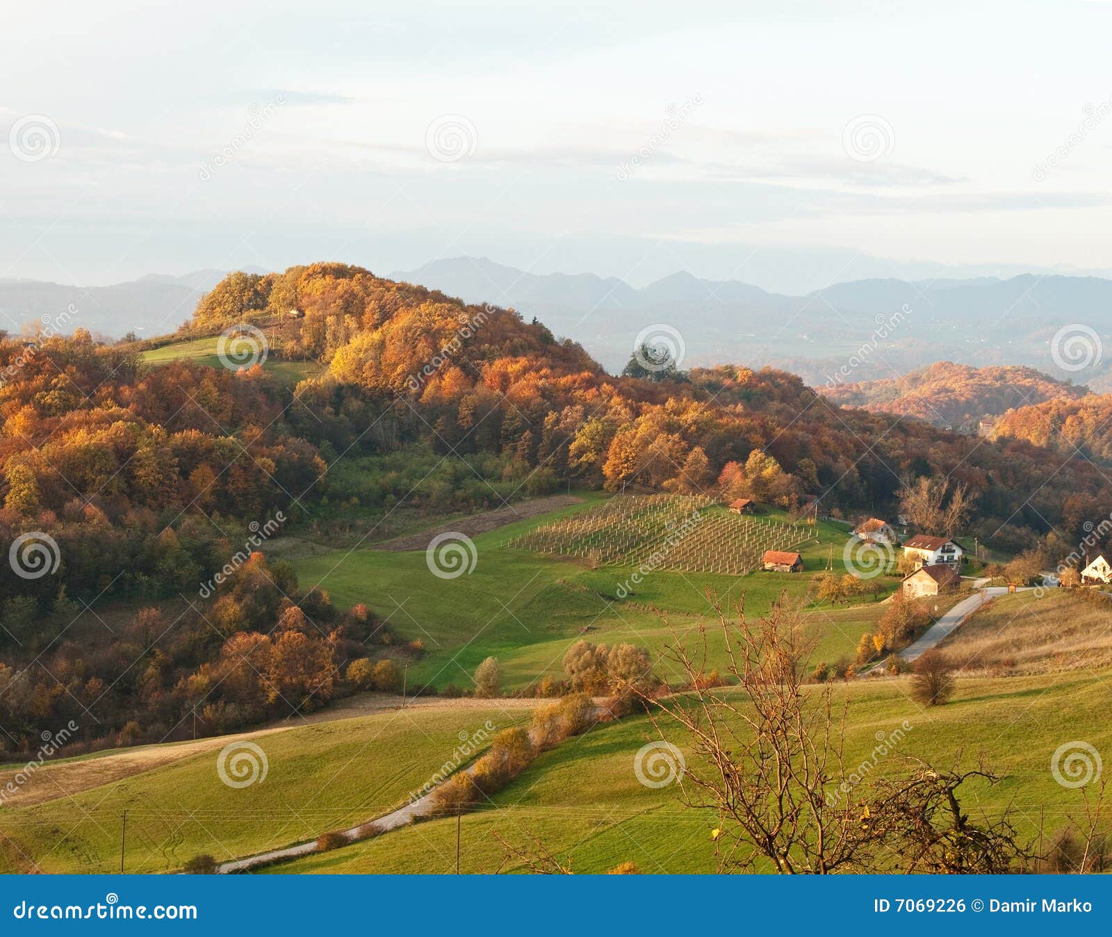 Autumn hills stock photo. Image of vineyard, nature, tree - 7069226