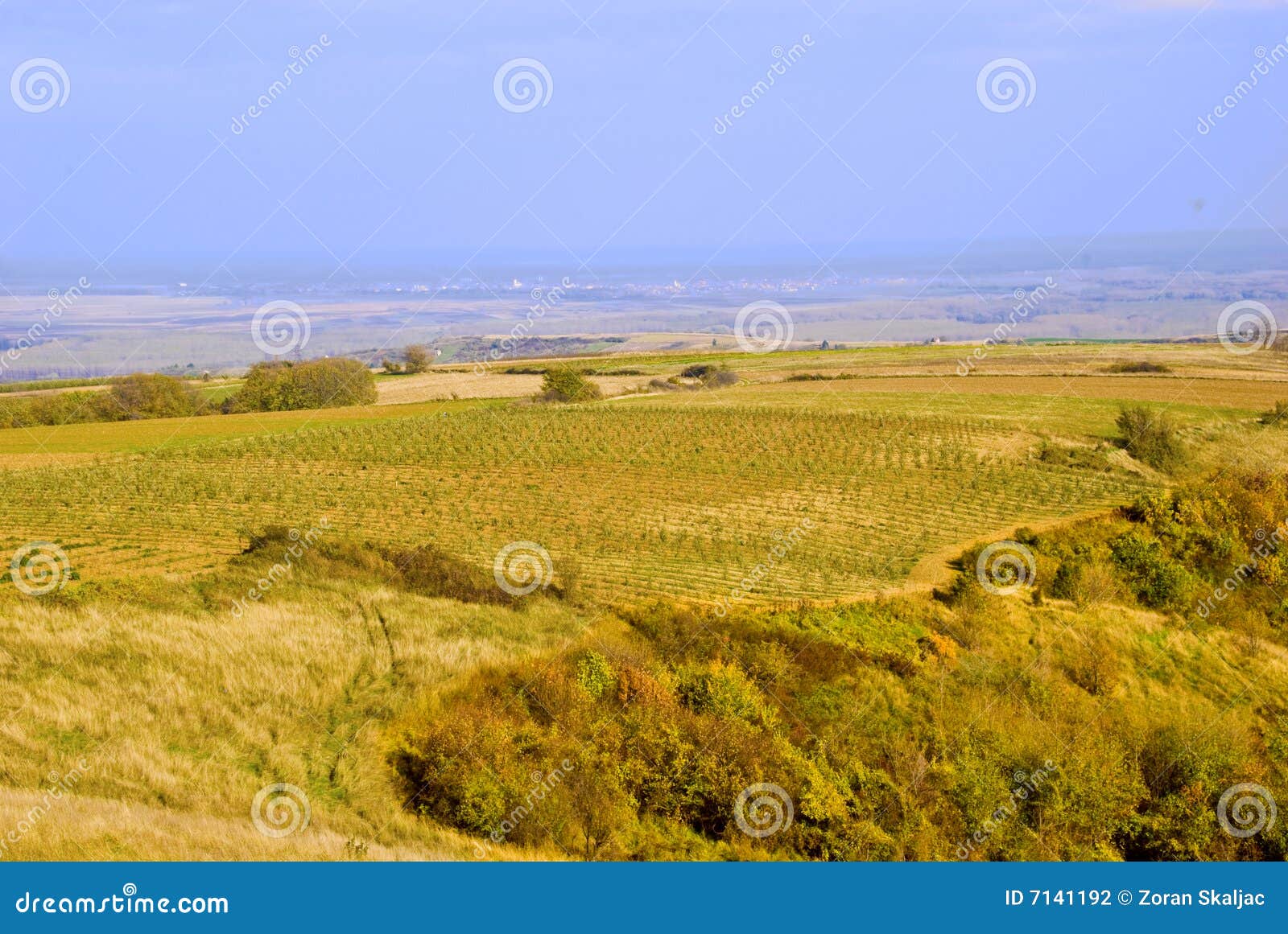 Autumn hills stock photo. Image of colours, trees, park - 7141192