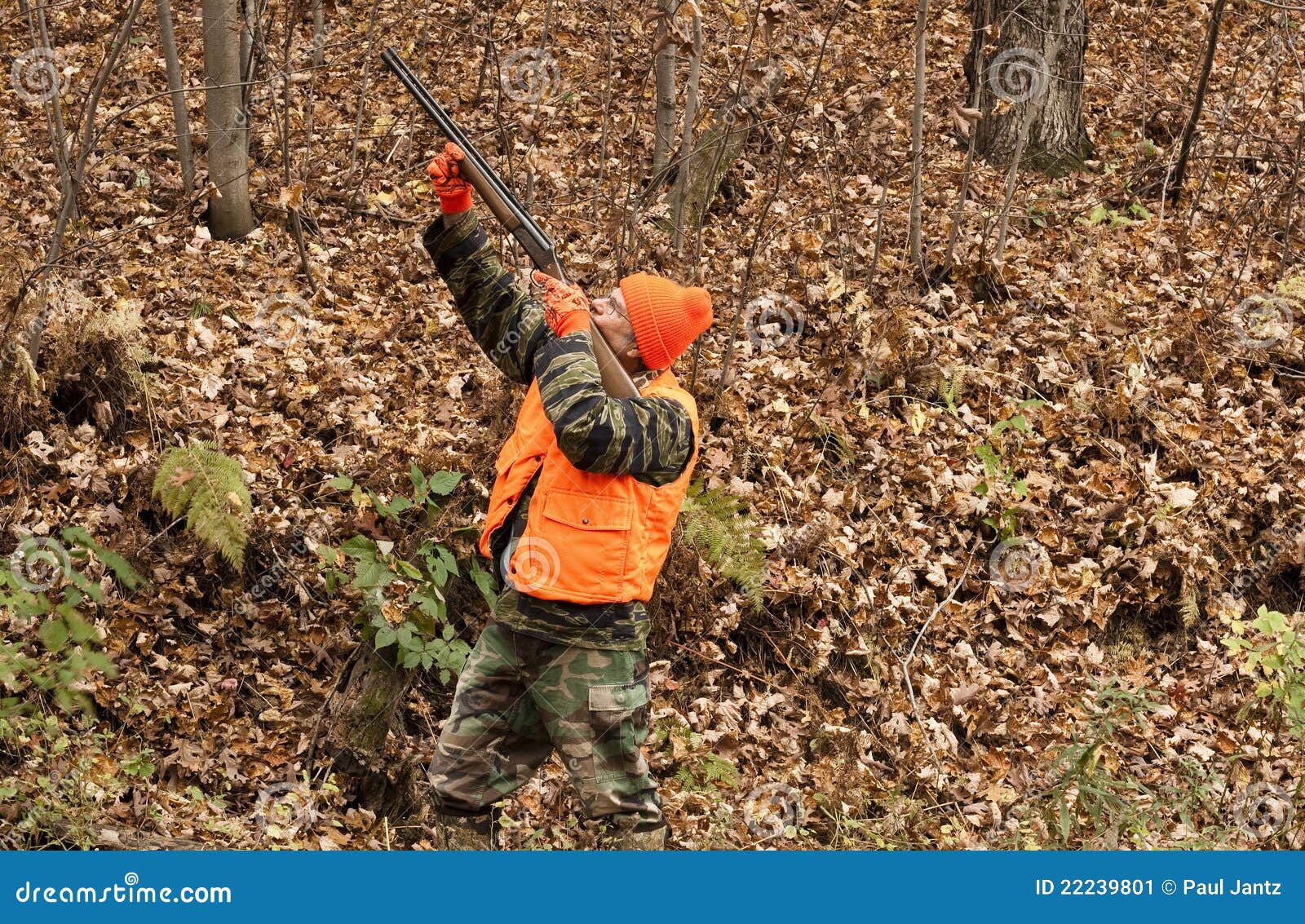Autumn hunter stock image. Image of camoflauge, nature - 22239801