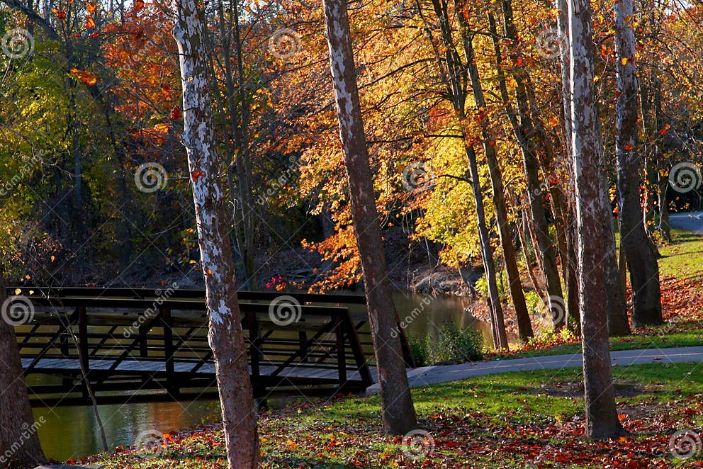 Autumn in Huron state park stock image. Image of cool - 21218359