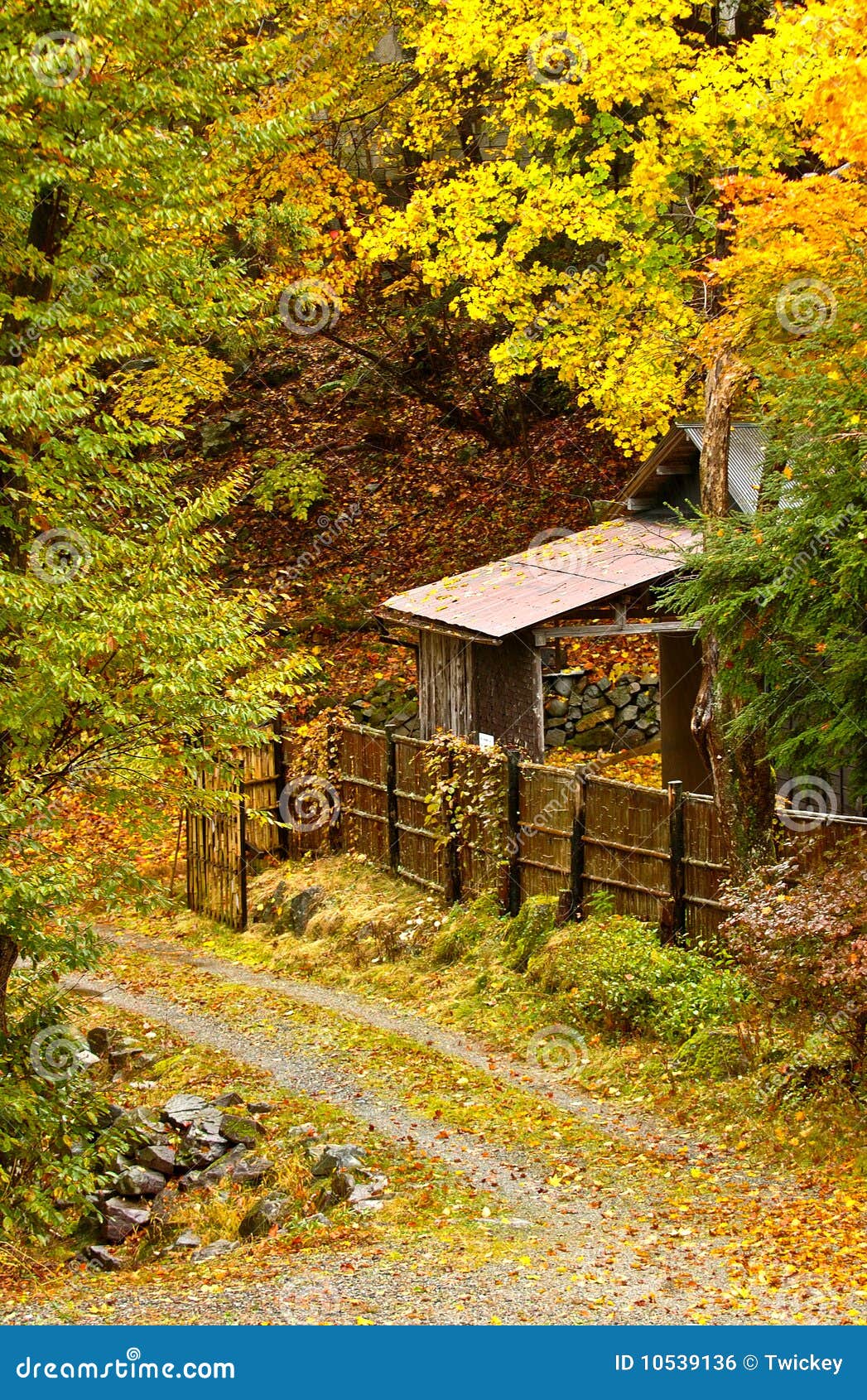 Autumn Hut stock photo. Image of brown, seasons, maple - 10539136
